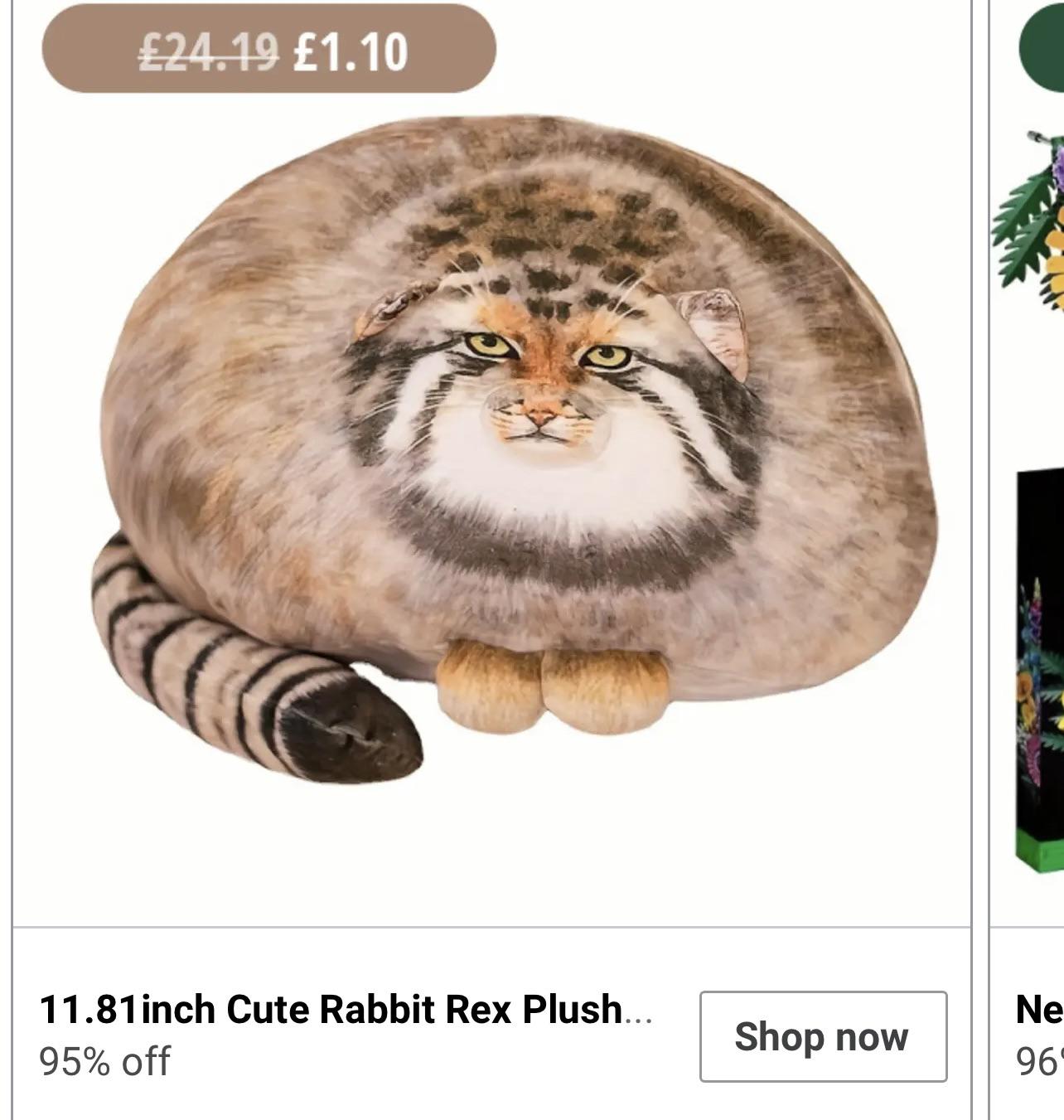 Cute rabbit | Scrolller