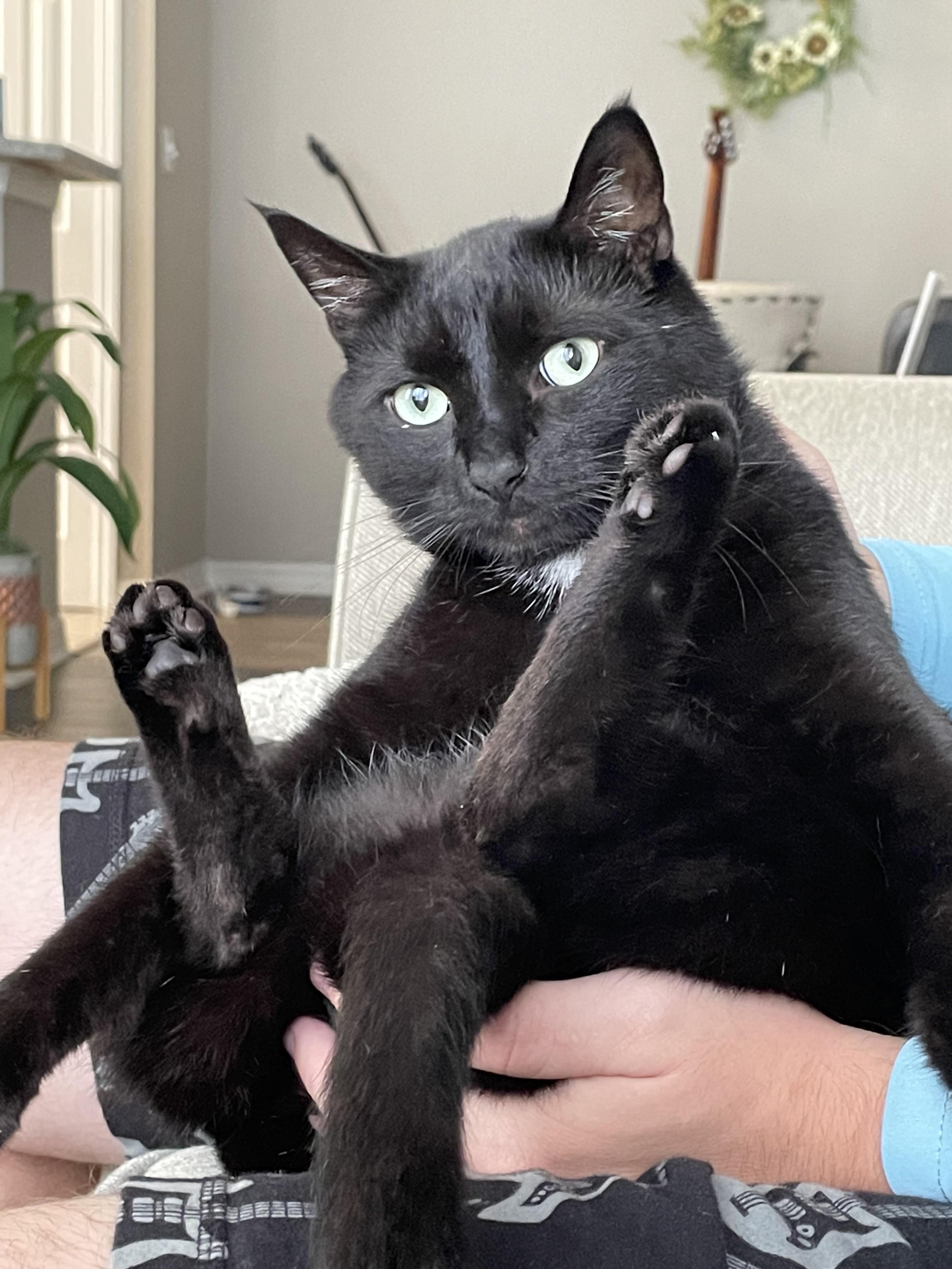 Cutie pie | Scrolller