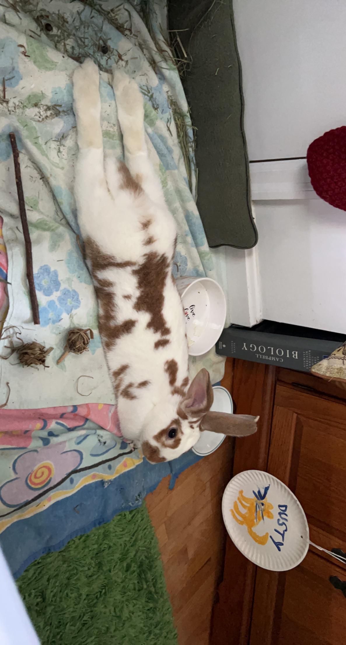 Breed ID | Scrolller