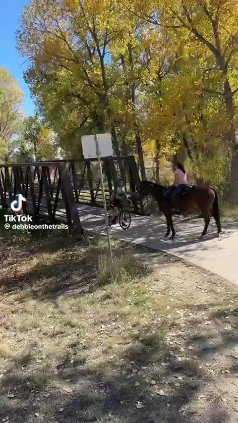 Cyclist Karen vs Equestrian | Scrolller