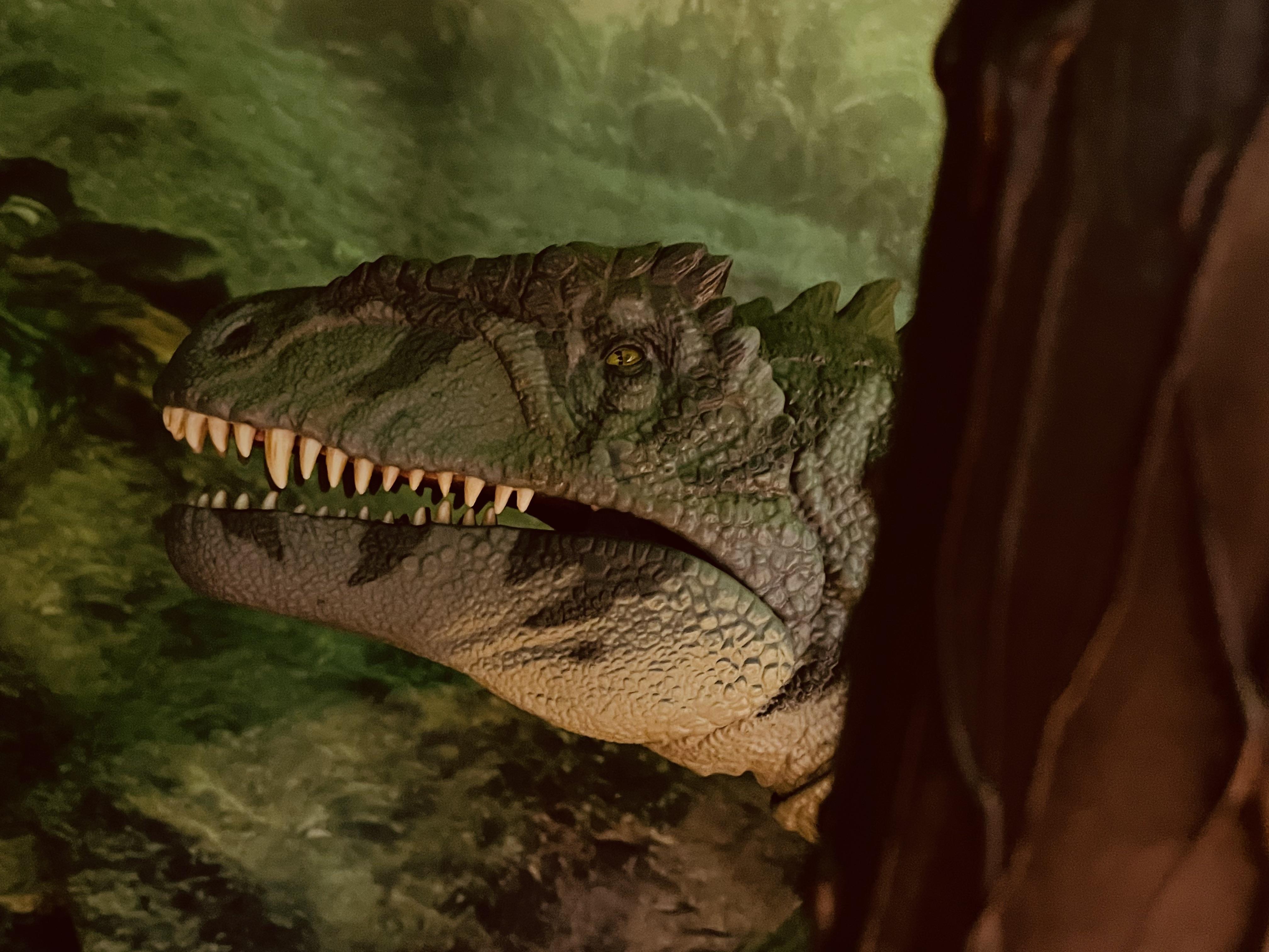 Discover more like ActionFigures: Peaceful creatures and Related Content | Scrolller