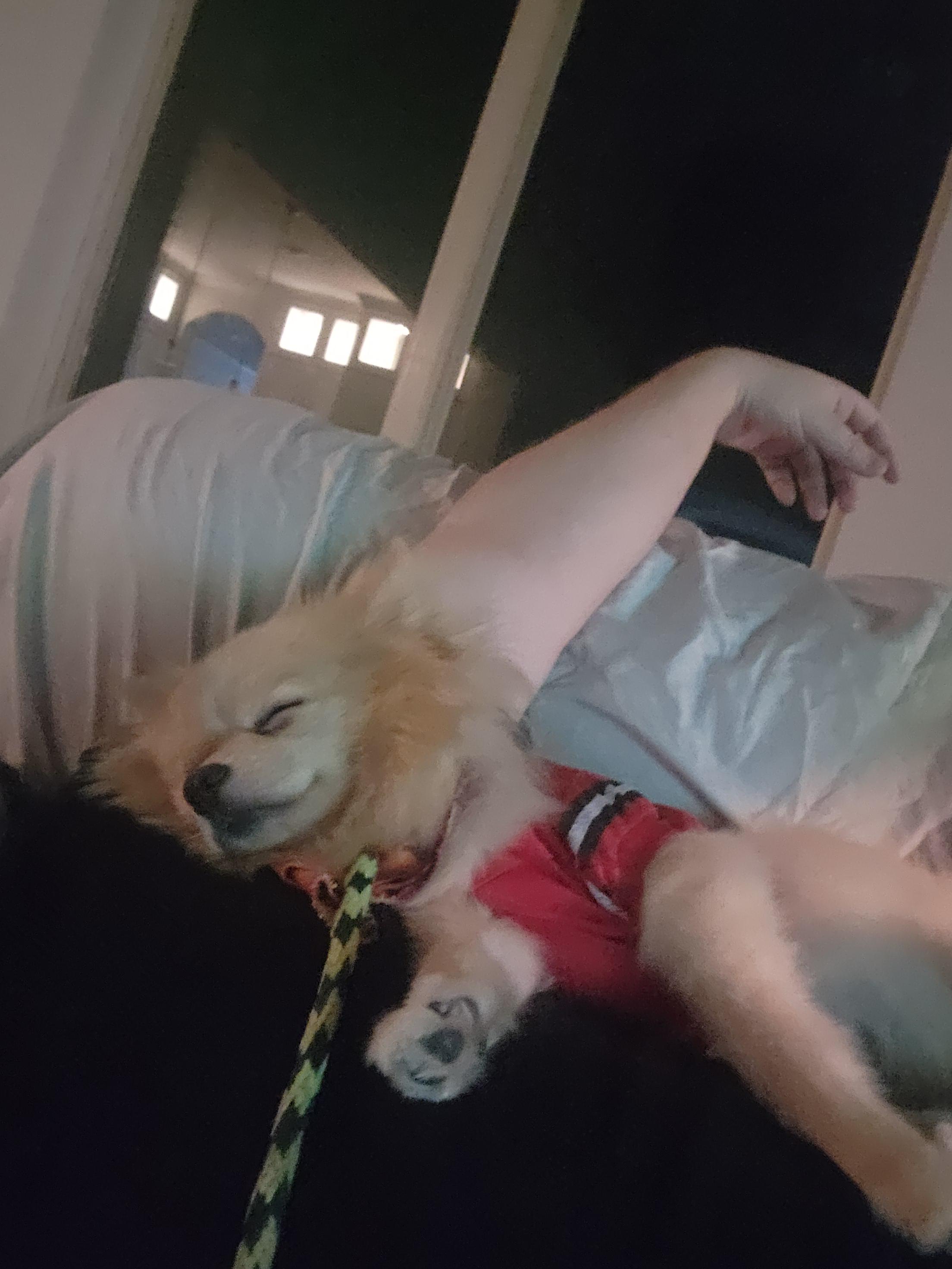 How it started... how it ended | Scrolller