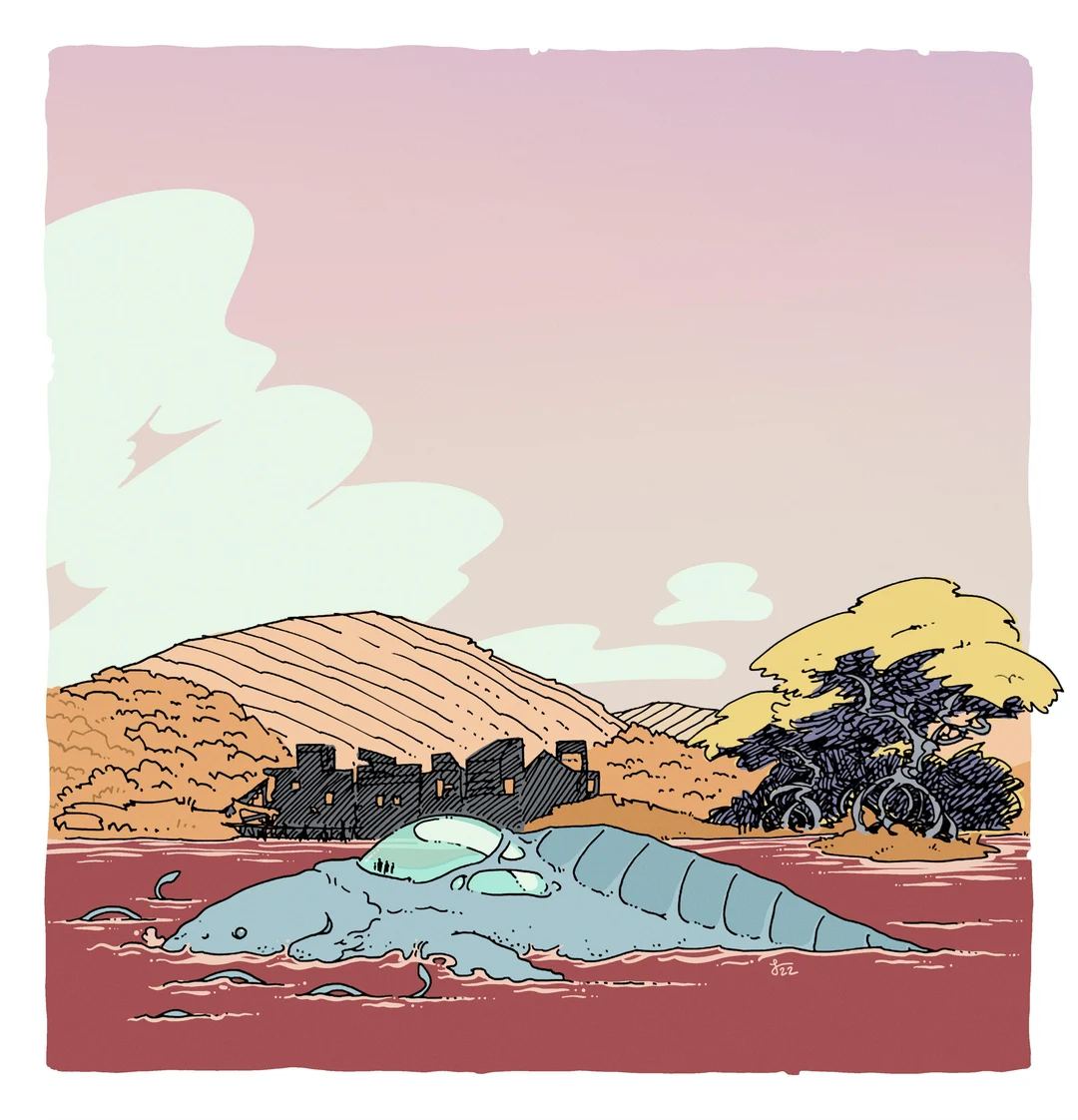 Sailing along the Salmon Isles | Scrolller