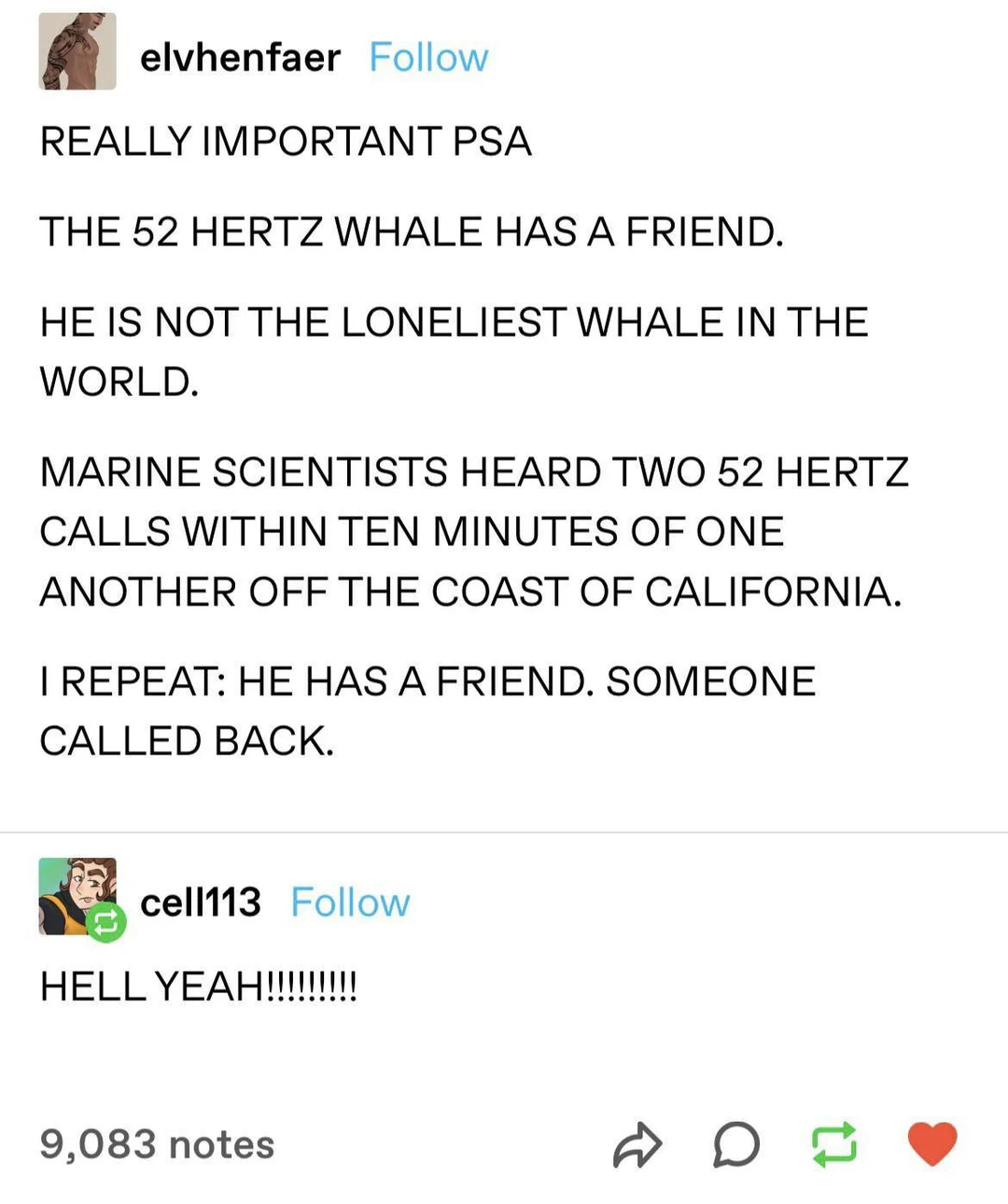 The Hertz whale is not alone! | Scrolller