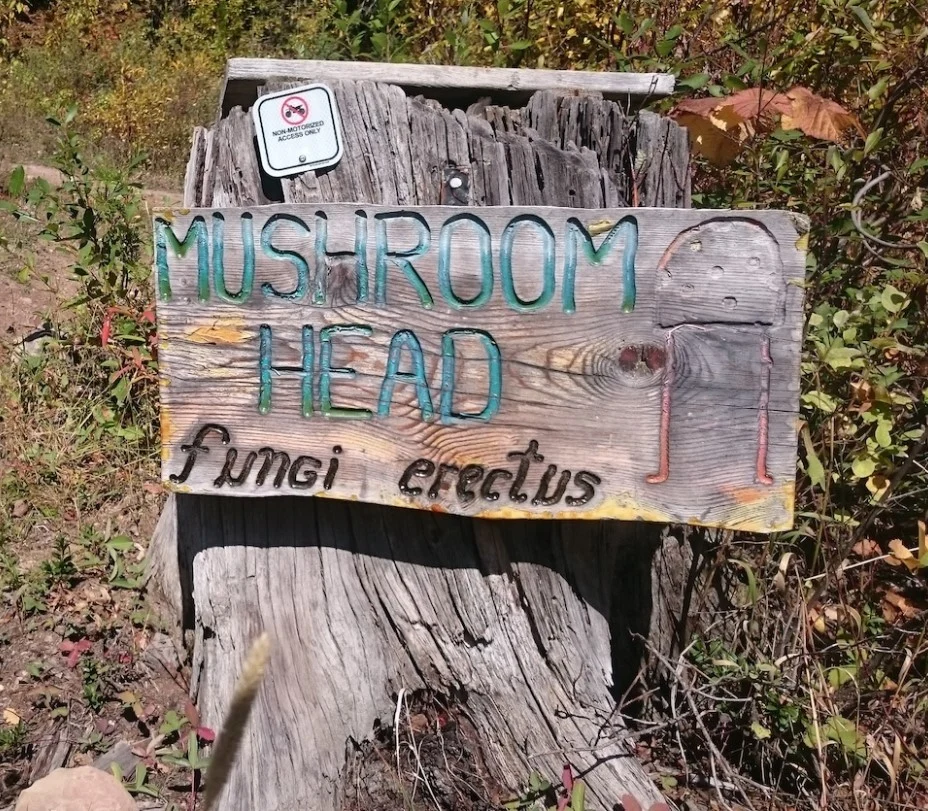 Bike trail in BC | Scrolller