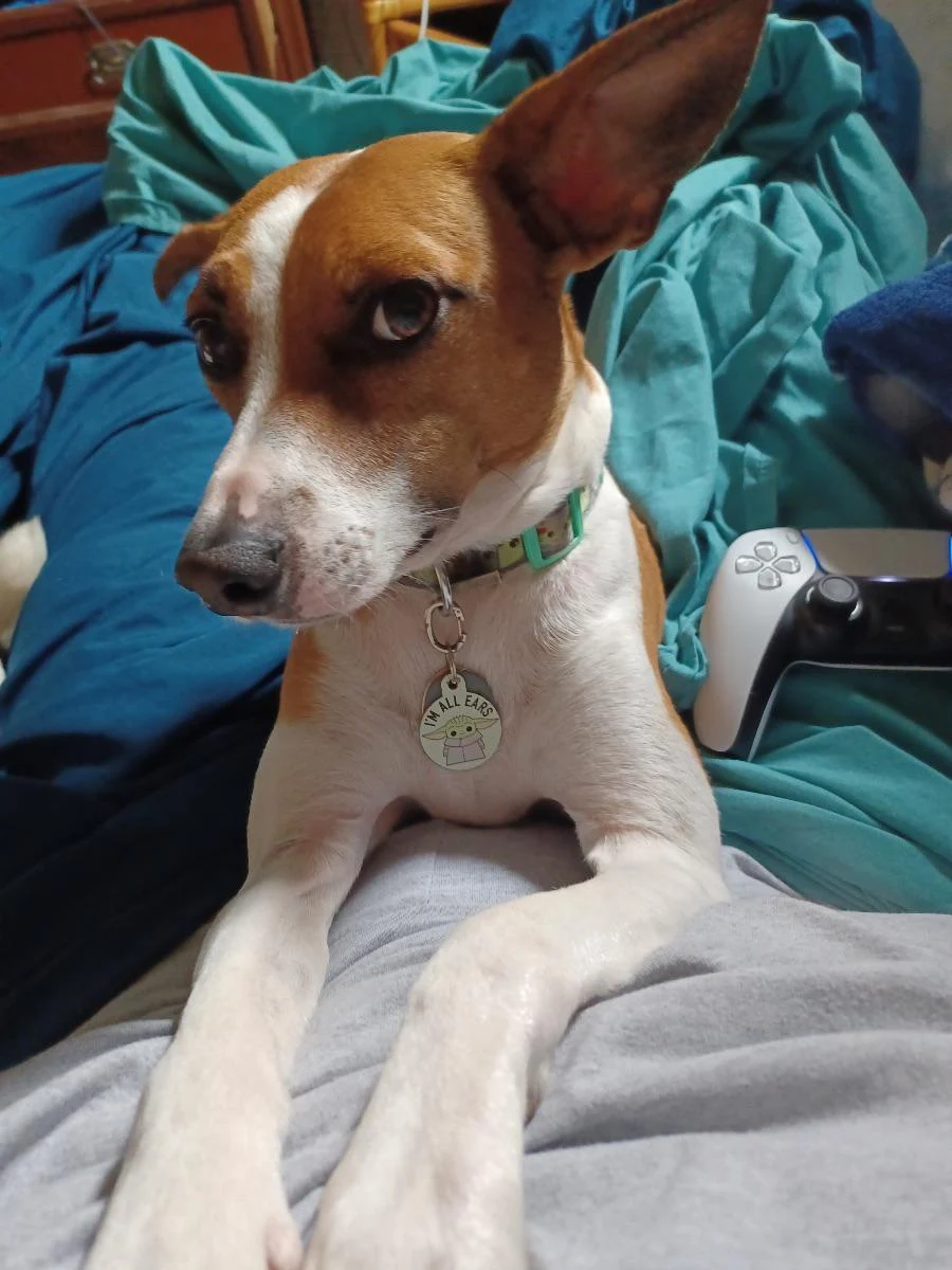 The Judgement in Thise Eyes | Scrolller