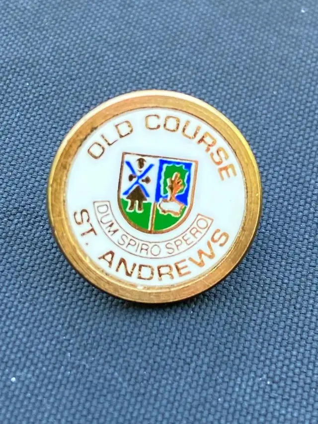 Goodwill find | Scrolller