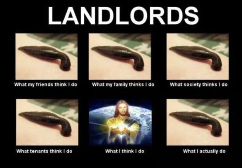 An accurate summary | Scrolller