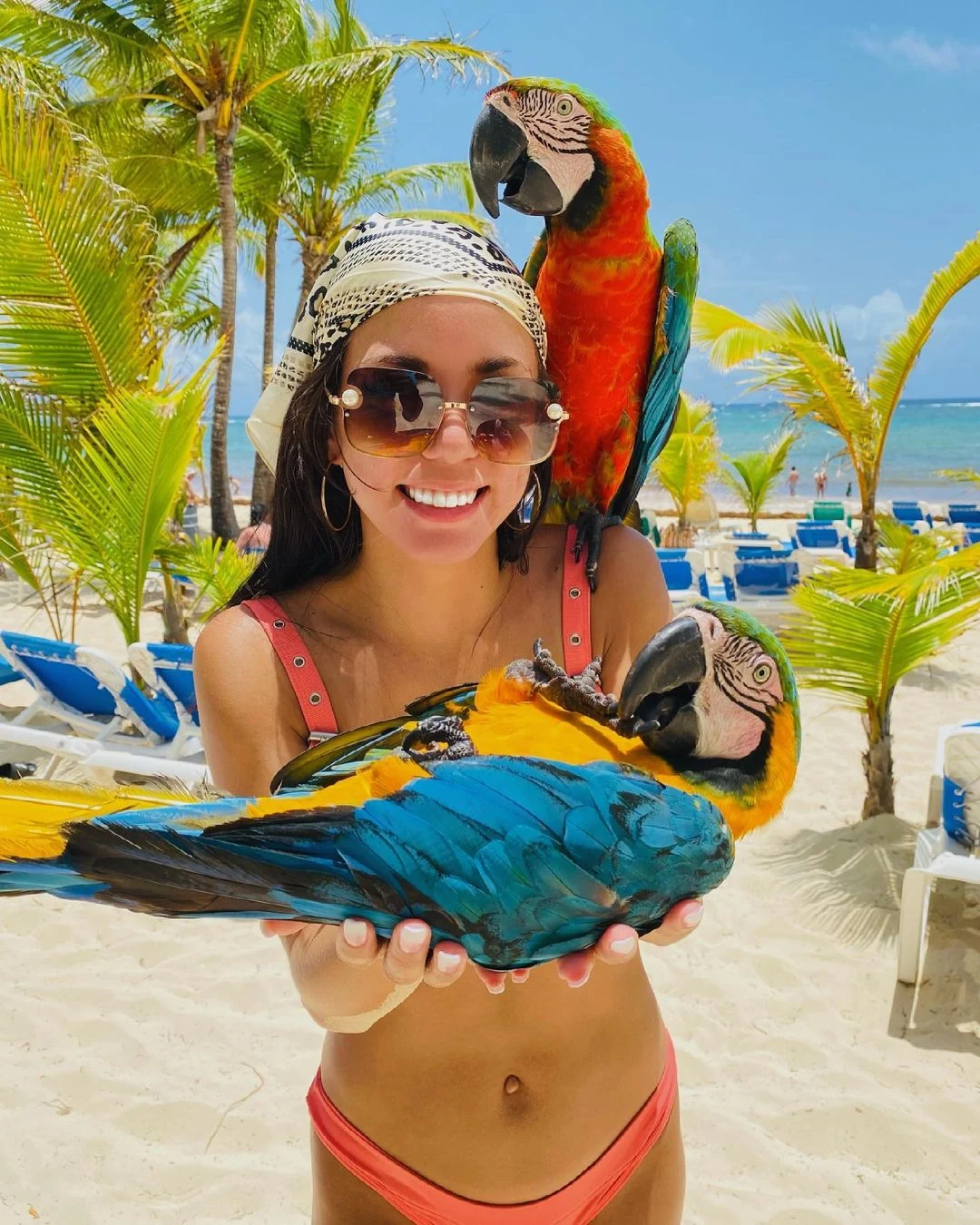 Polly Wants a Cracker | Scrolller