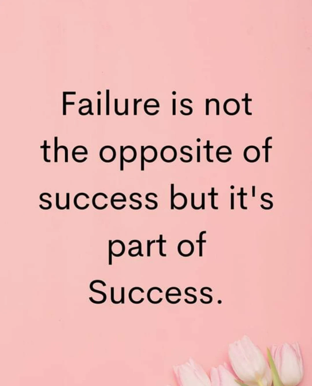 [Image] Failure is not the opposite of success | Scrolller