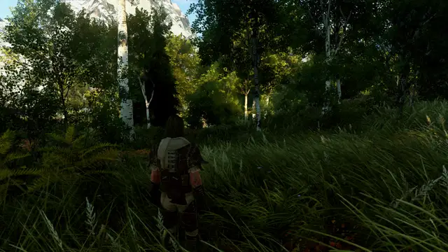 Modded Skyrim 1100+ Mods -- Riften Forest at Mid-Day | Scrolller