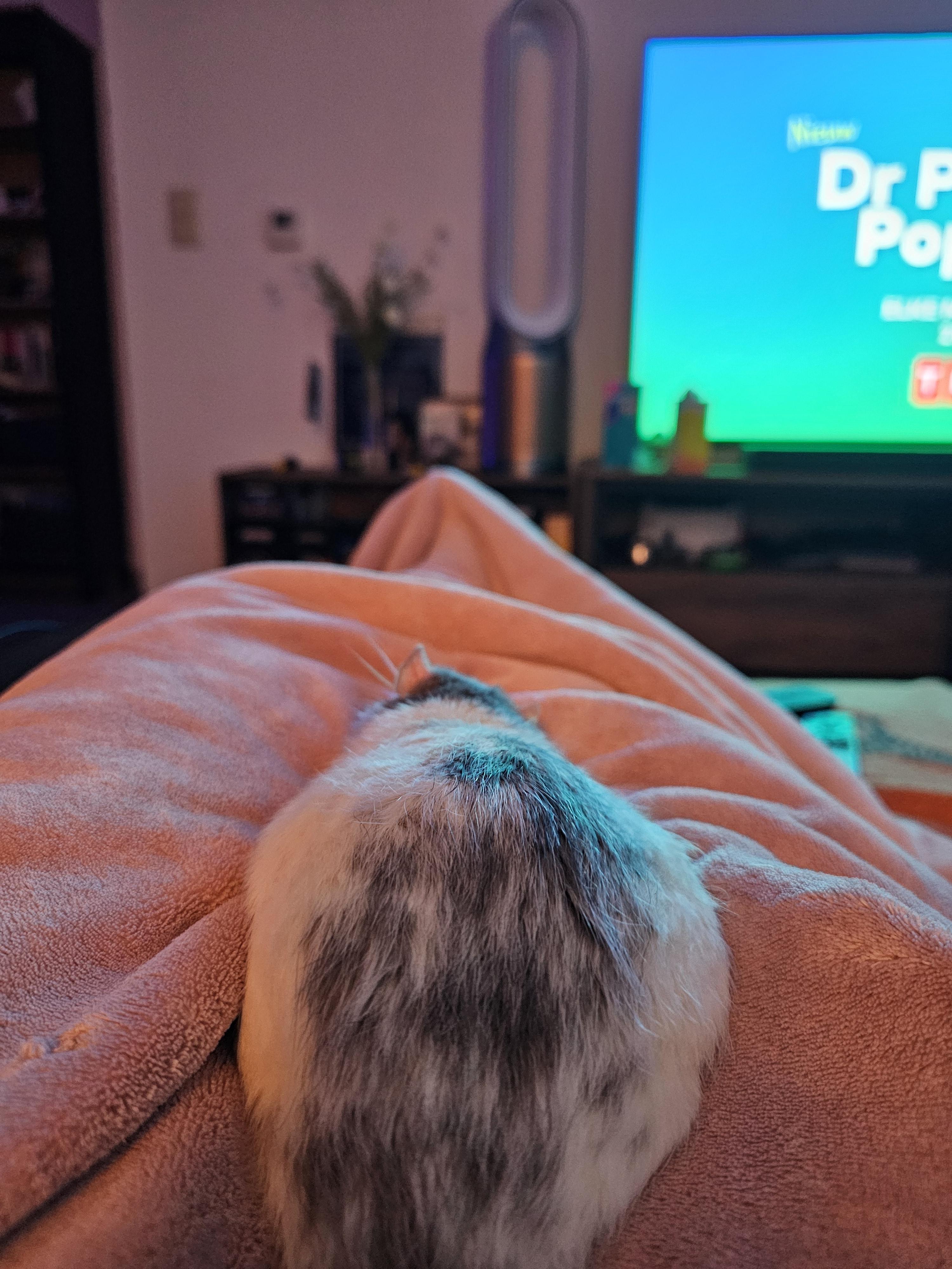 Quinnie and me watching TLC | Scrolller