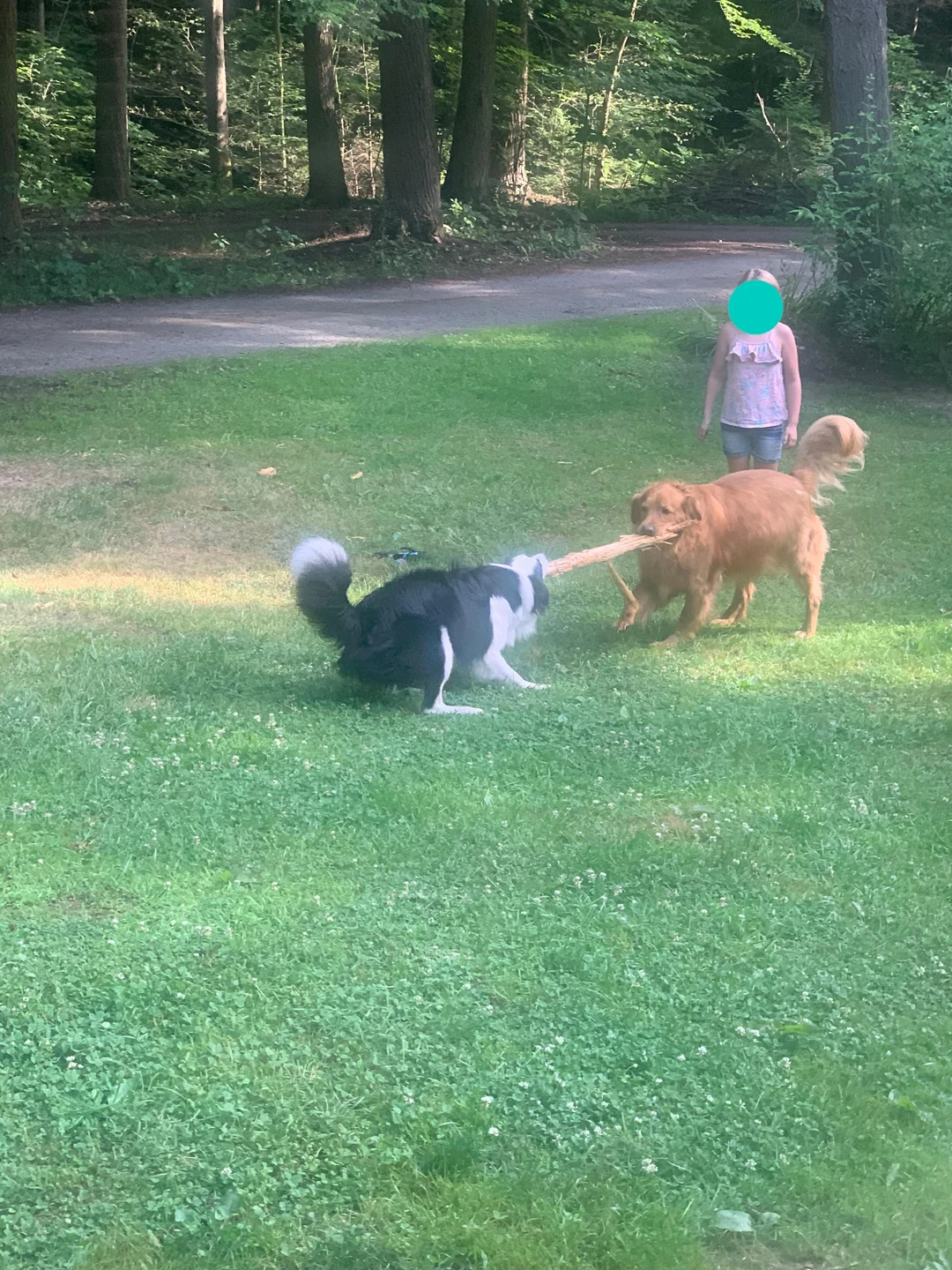 Two weirdos fighting over one big stick. | Scrolller