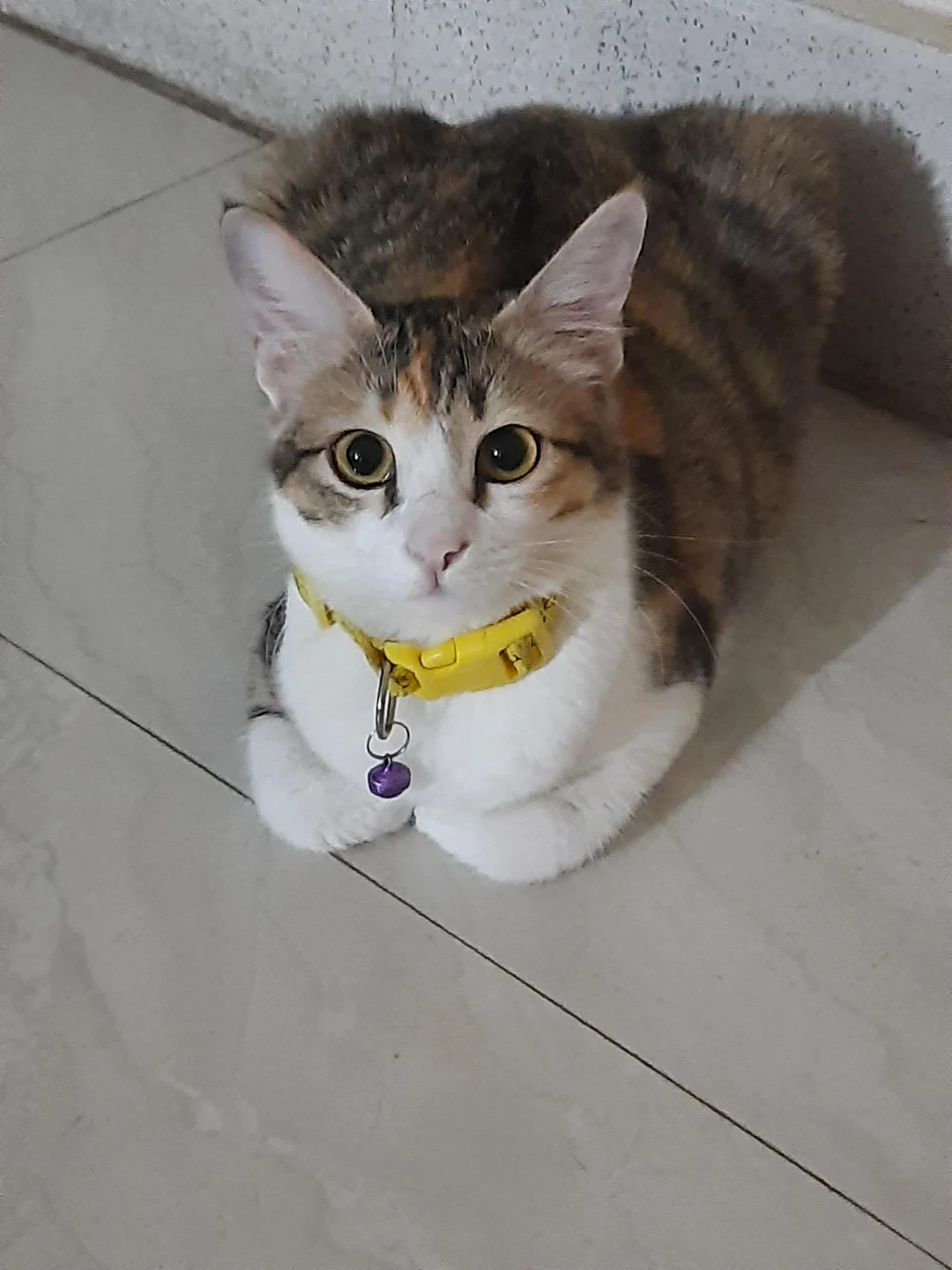 a very curious loaf | Scrolller