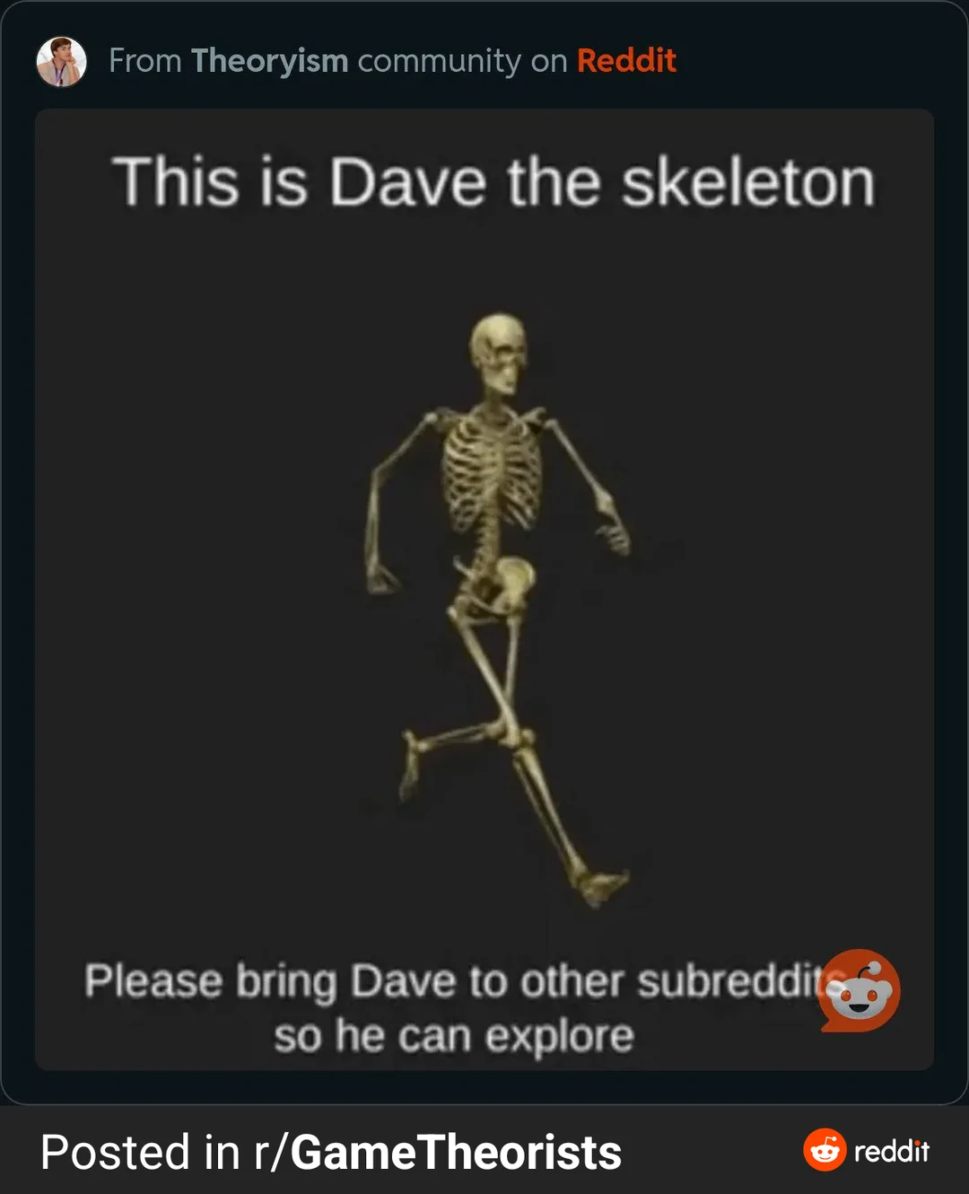Dave the skeleton | Scrolller
