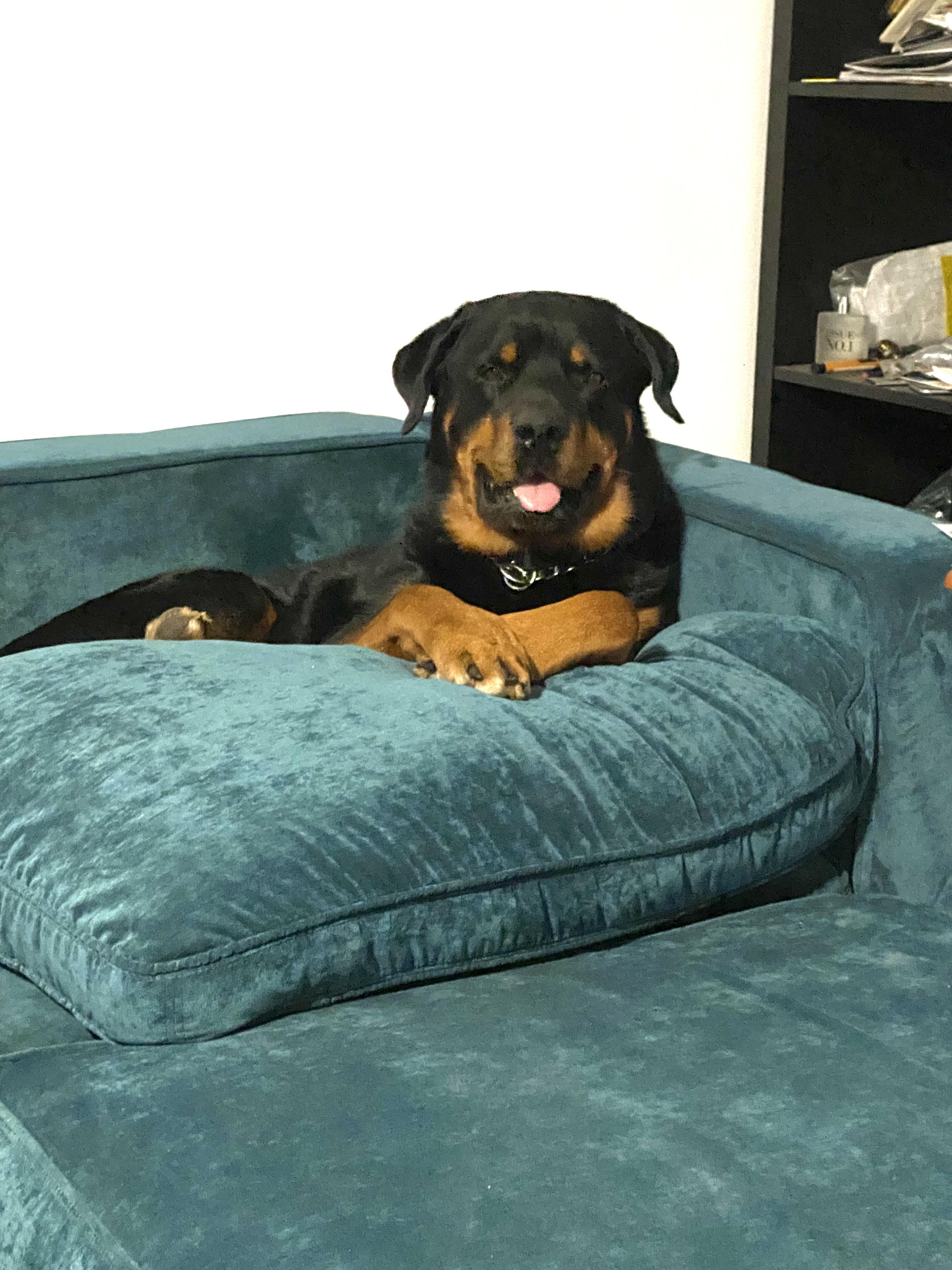 Jax Appreciation Post | Scrolller