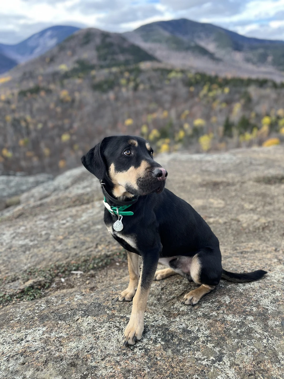 Sokka gets lots of compliments on his nose stripe! | Scrolller