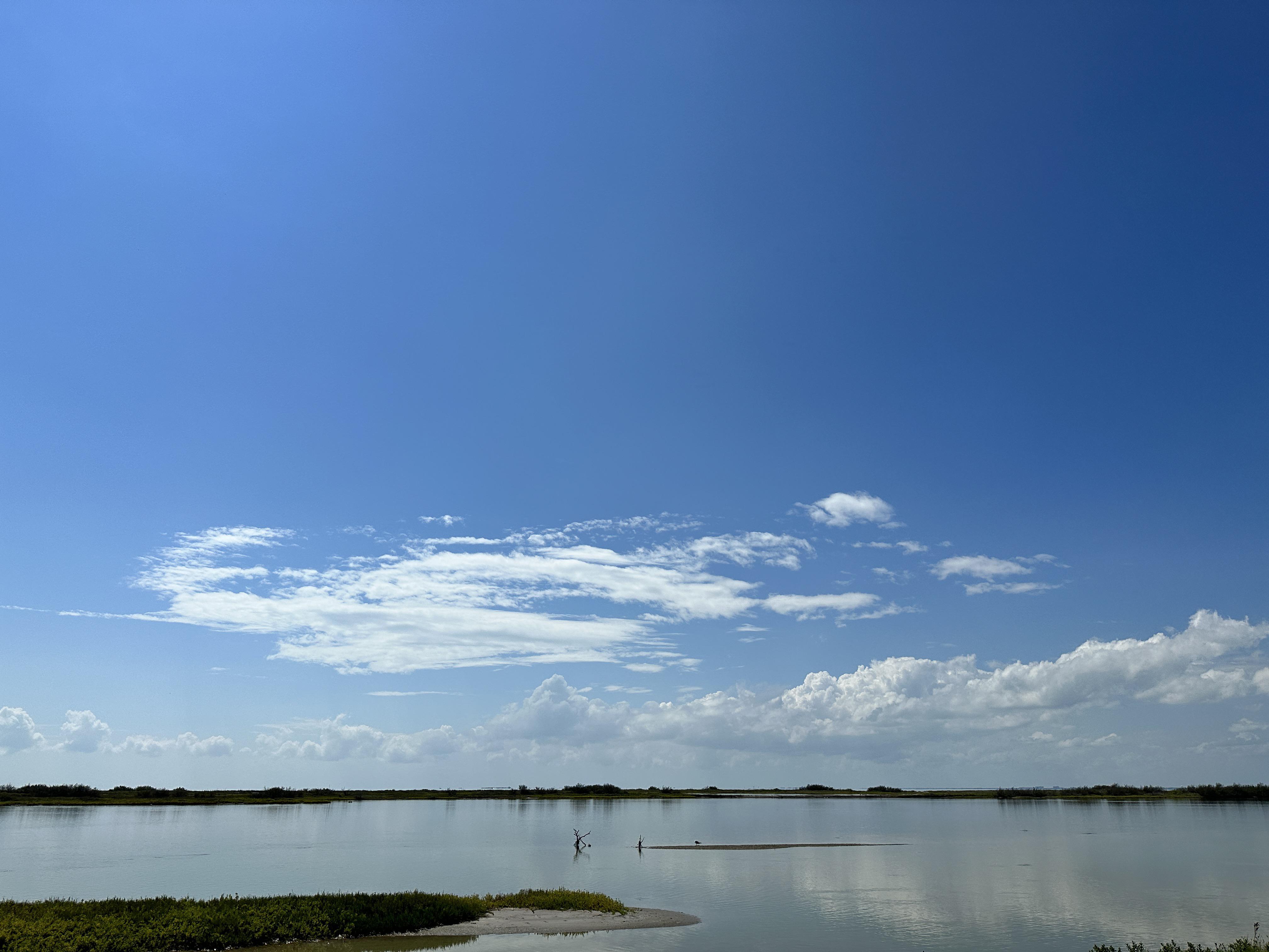 South Tx | Scrolller