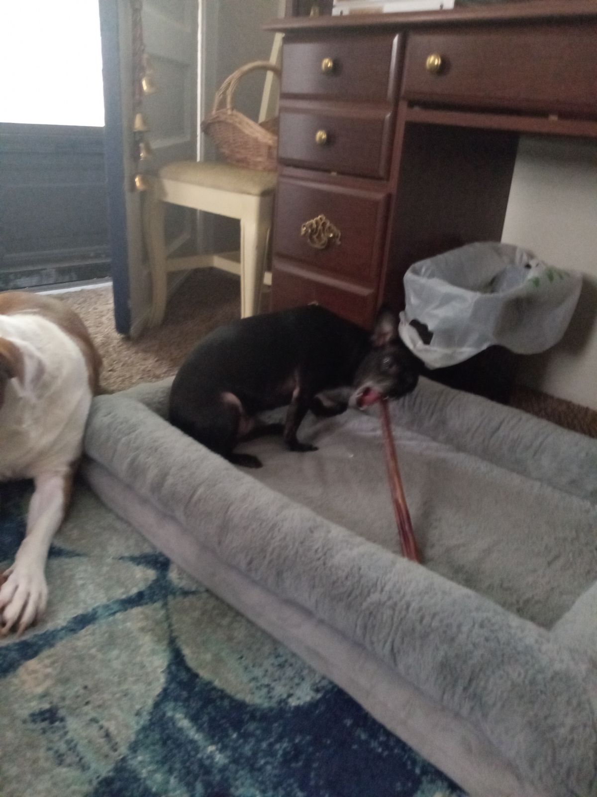 Goblin Mode | Scrolller