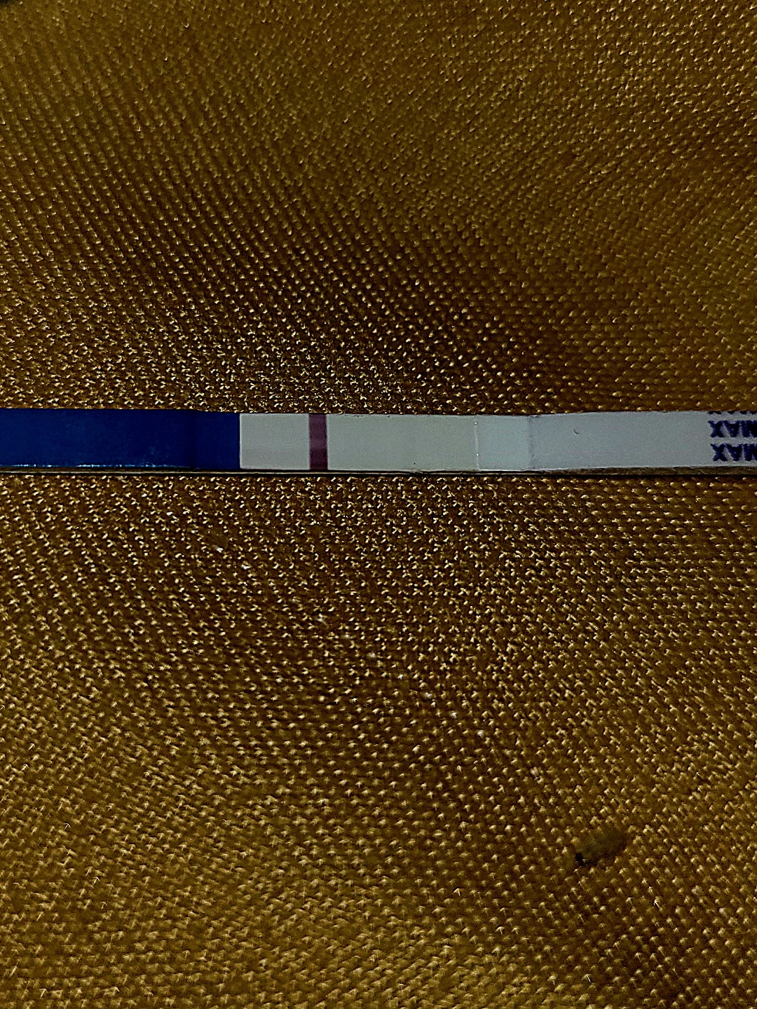 Is it a Positive??? | Scrolller