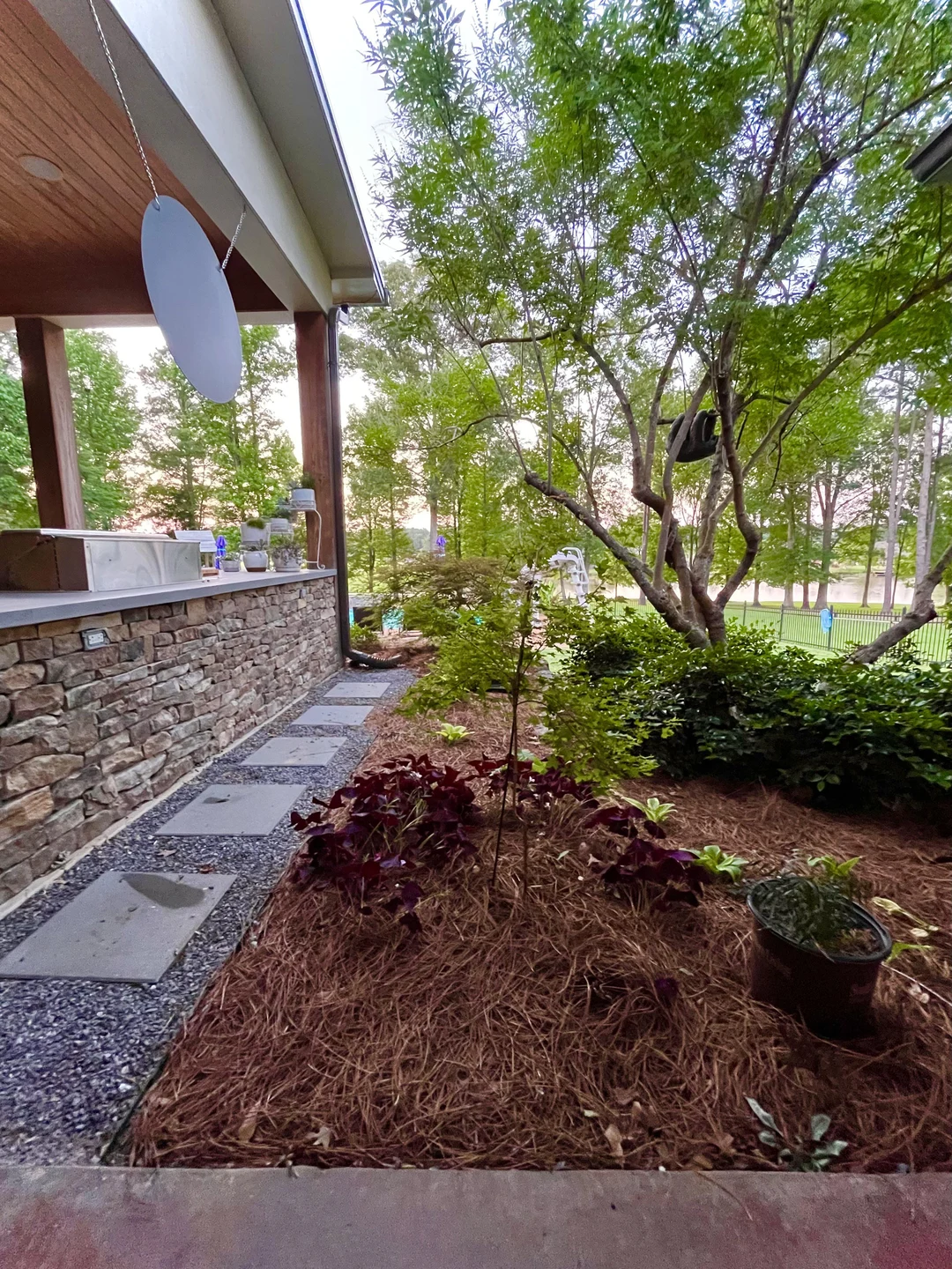 Early summer on the back patio | Scrolller