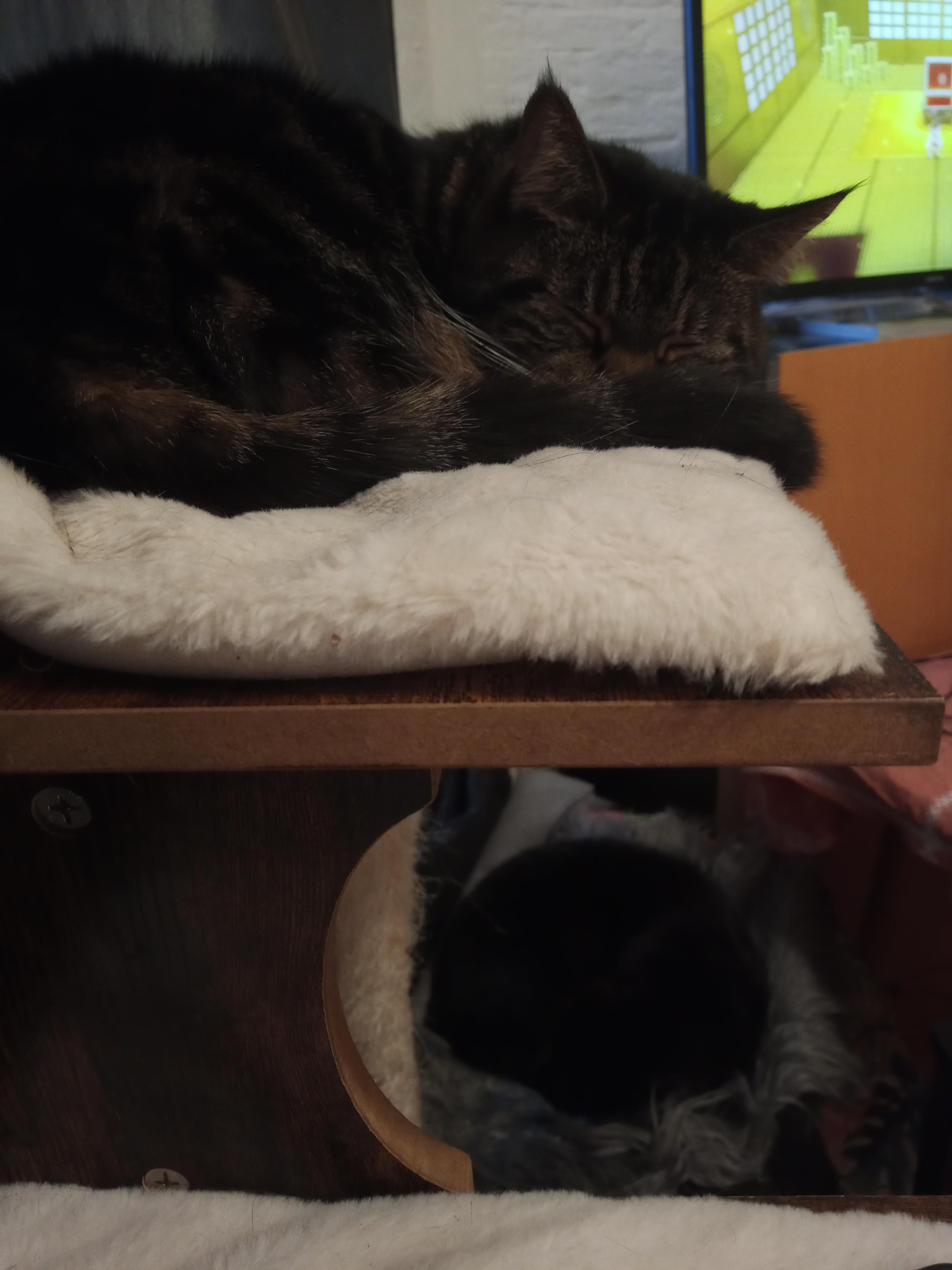 Spot the void! | Scrolller