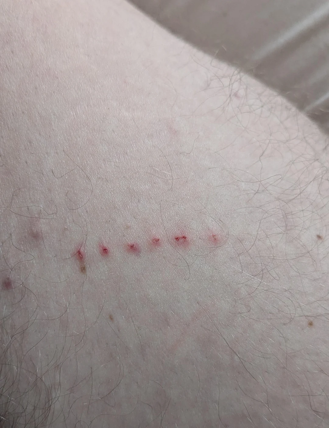 How many claws does my cat have? | Scrolller