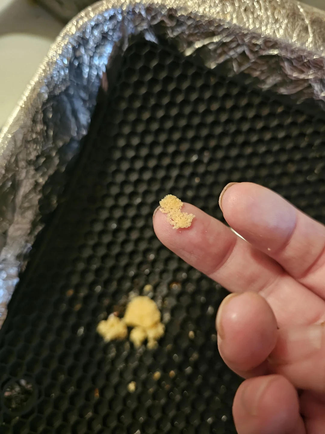 Cooking question | Scrolller