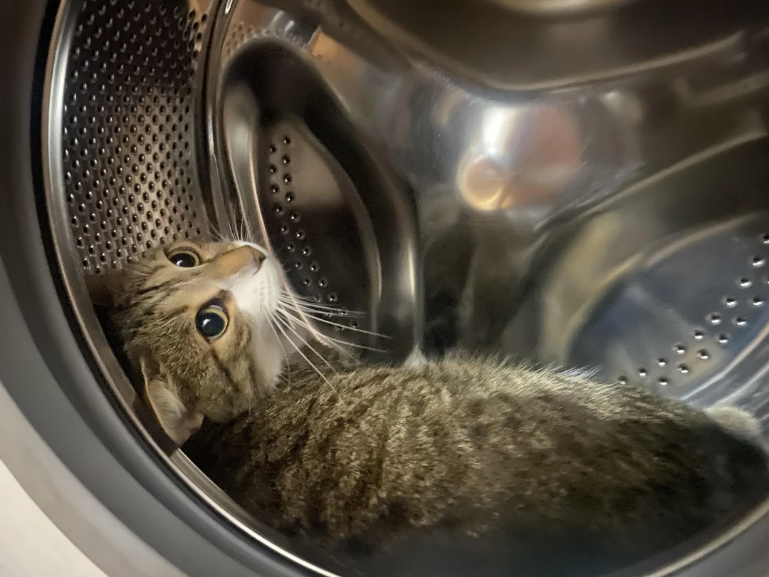 Time for washing | Scrolller