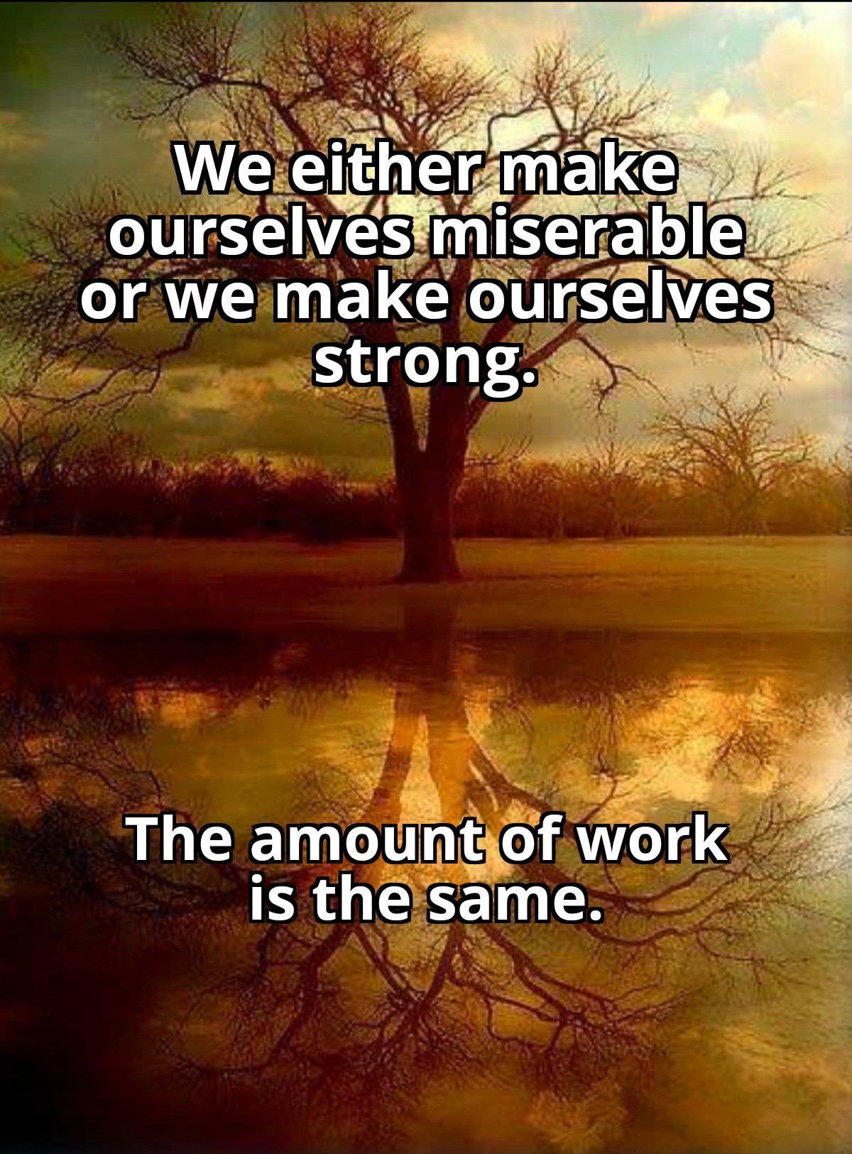 [Image] Your choice... | Scrolller