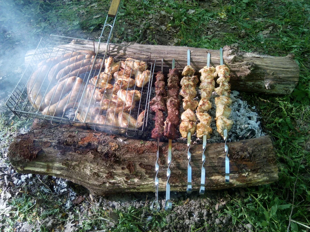 Barbecue in the forest | Scrolller