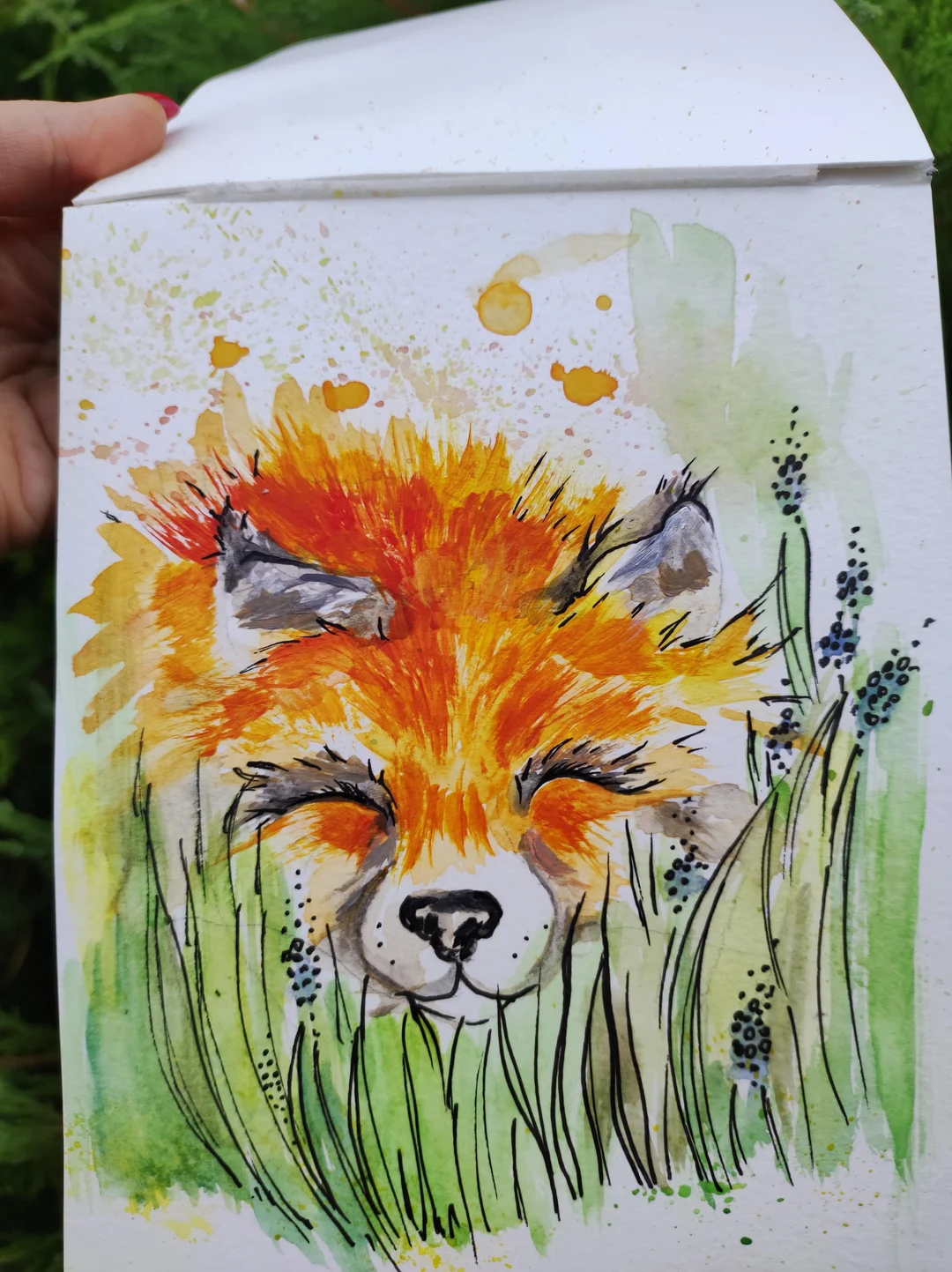 My first fox | Scrolller