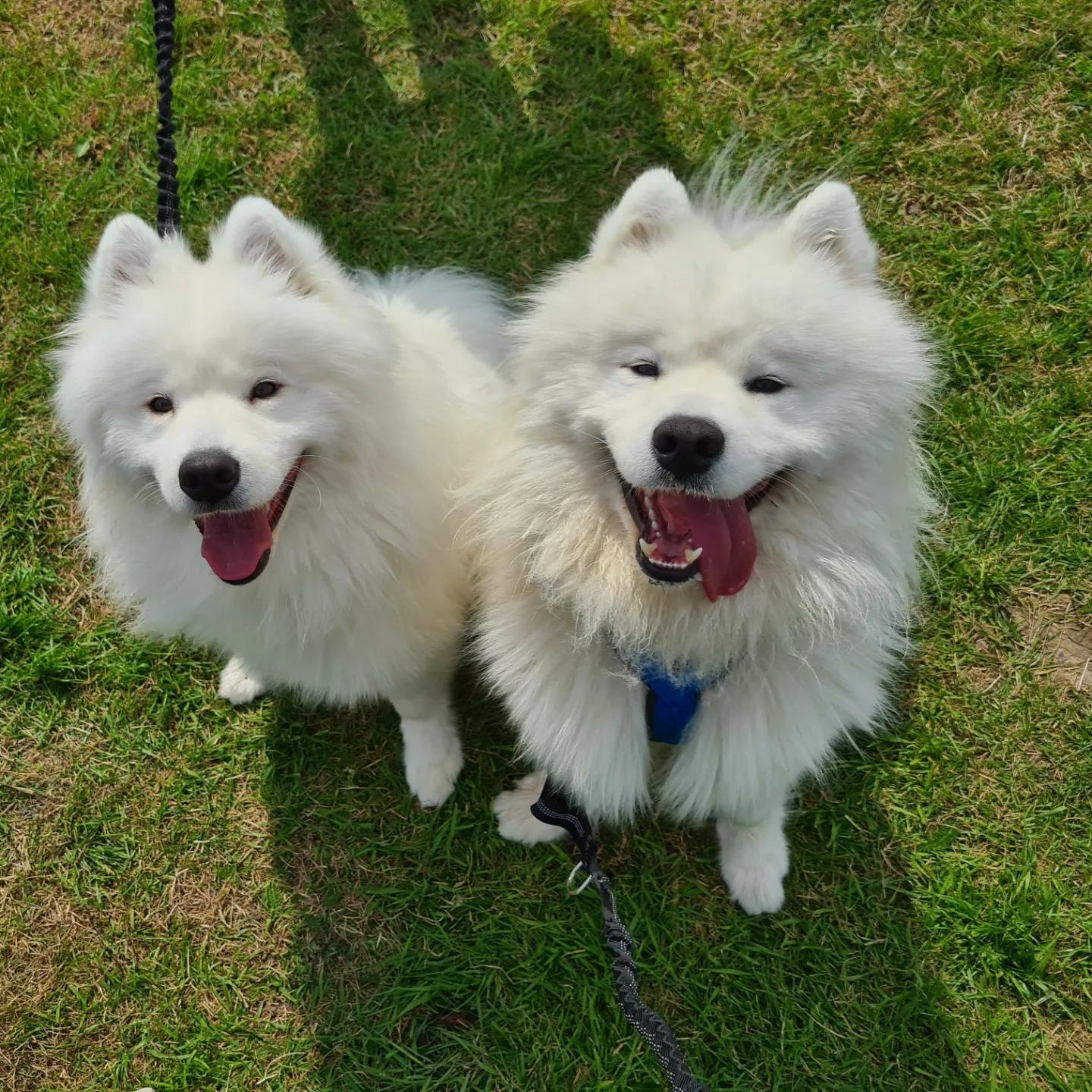 Happy clouds | Scrolller