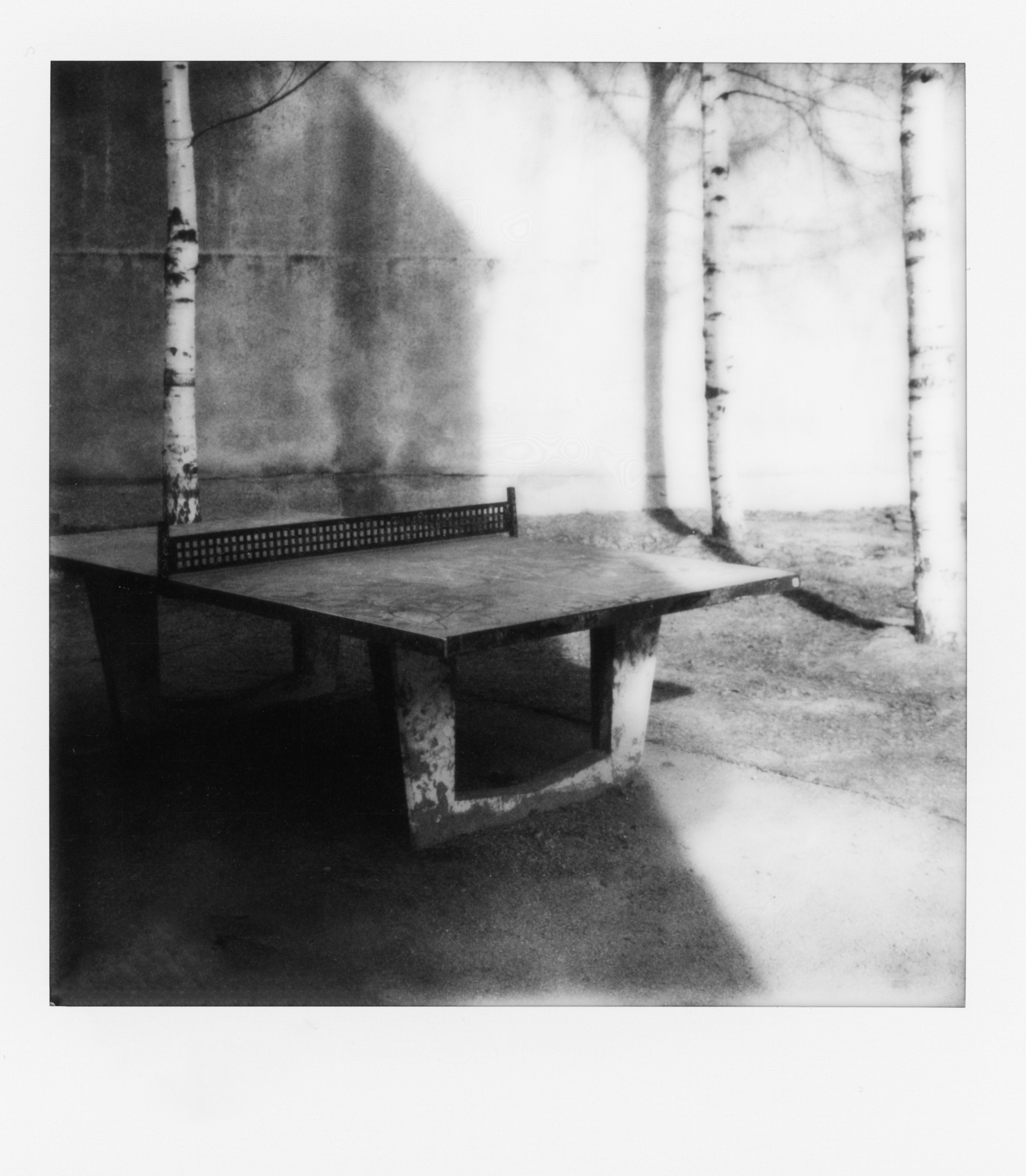 Landscape (converted SX-70) | Scrolller