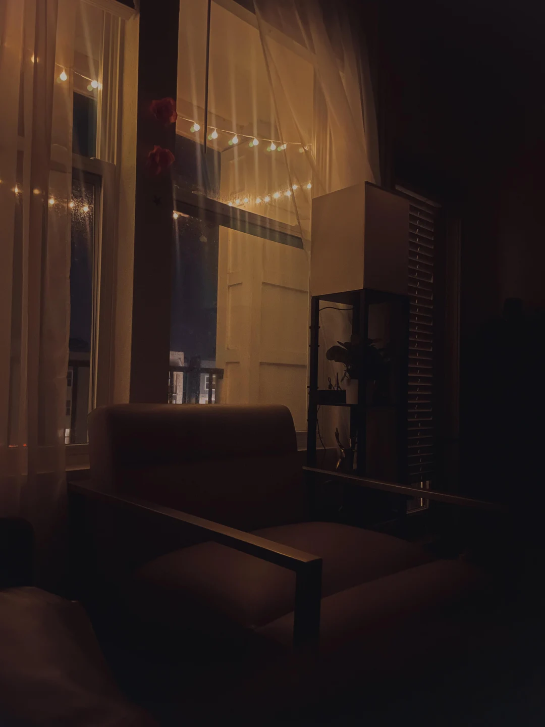 I just put those lights | Scrolller