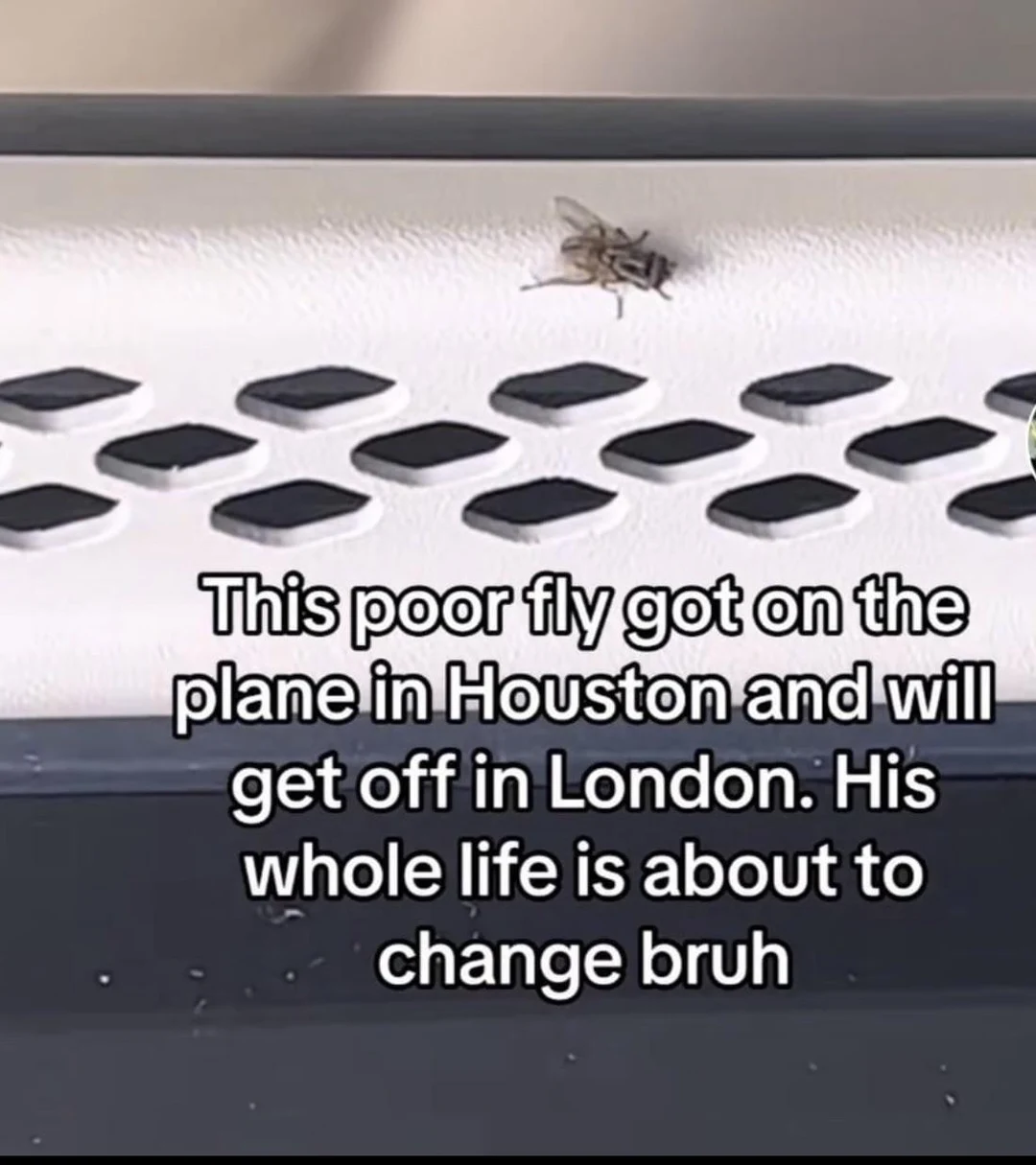 Red-eye flight | Scrolller