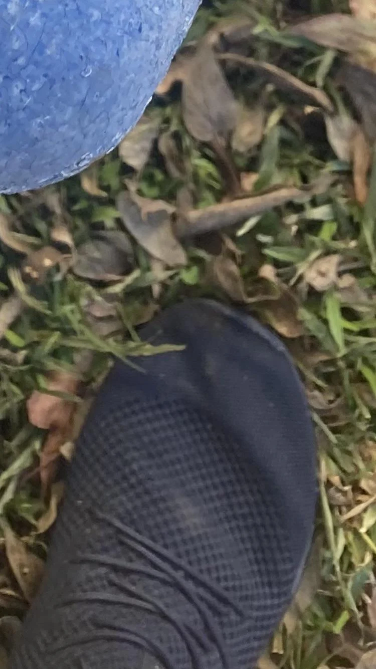 Identification of these old ugly cheap shoes I used to have? | Scrolller