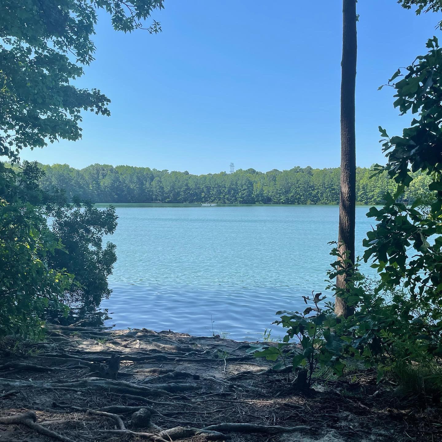 Oak Grove Park in Virginia, USA 1440 x 1440 [OC] | Scrolller