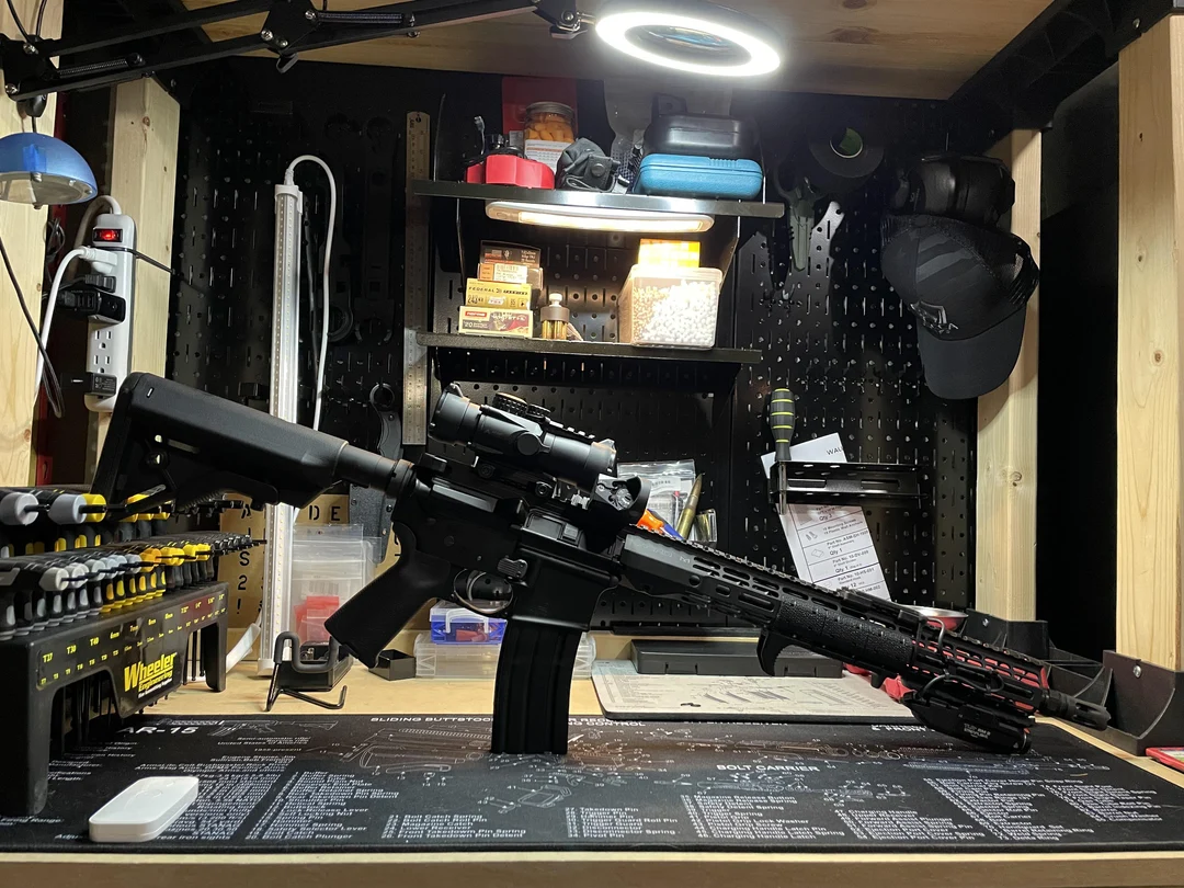 Trying a new setup: offset red dot and 3x prism sight | Scrolller