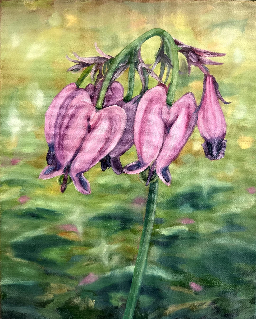 Pacific Bleeding Heart, Me, Oil on Canvas, 2023 | Scrolller