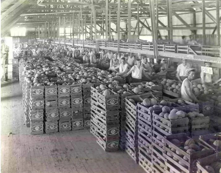 My Great Grandfather's melon packing warehouse. He was known as the Melon King of California ...