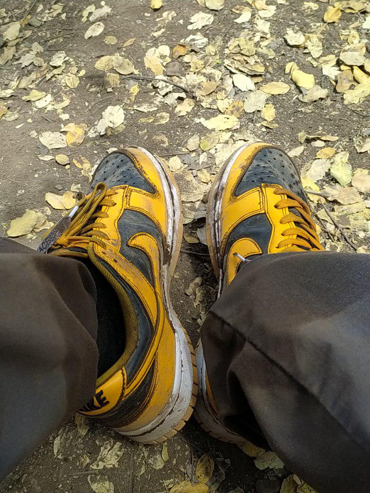 Up'n down the mountain | Scrolller