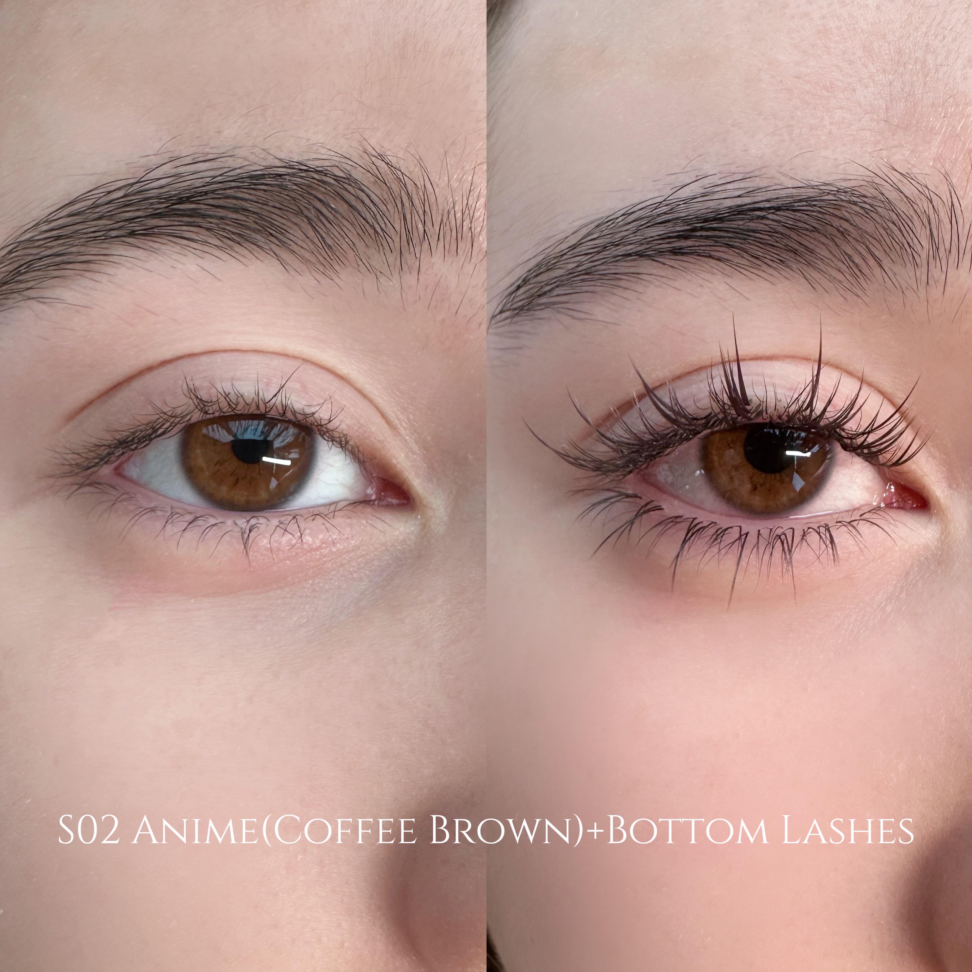 FREE eyelash extension training Bellevue | Scrolller