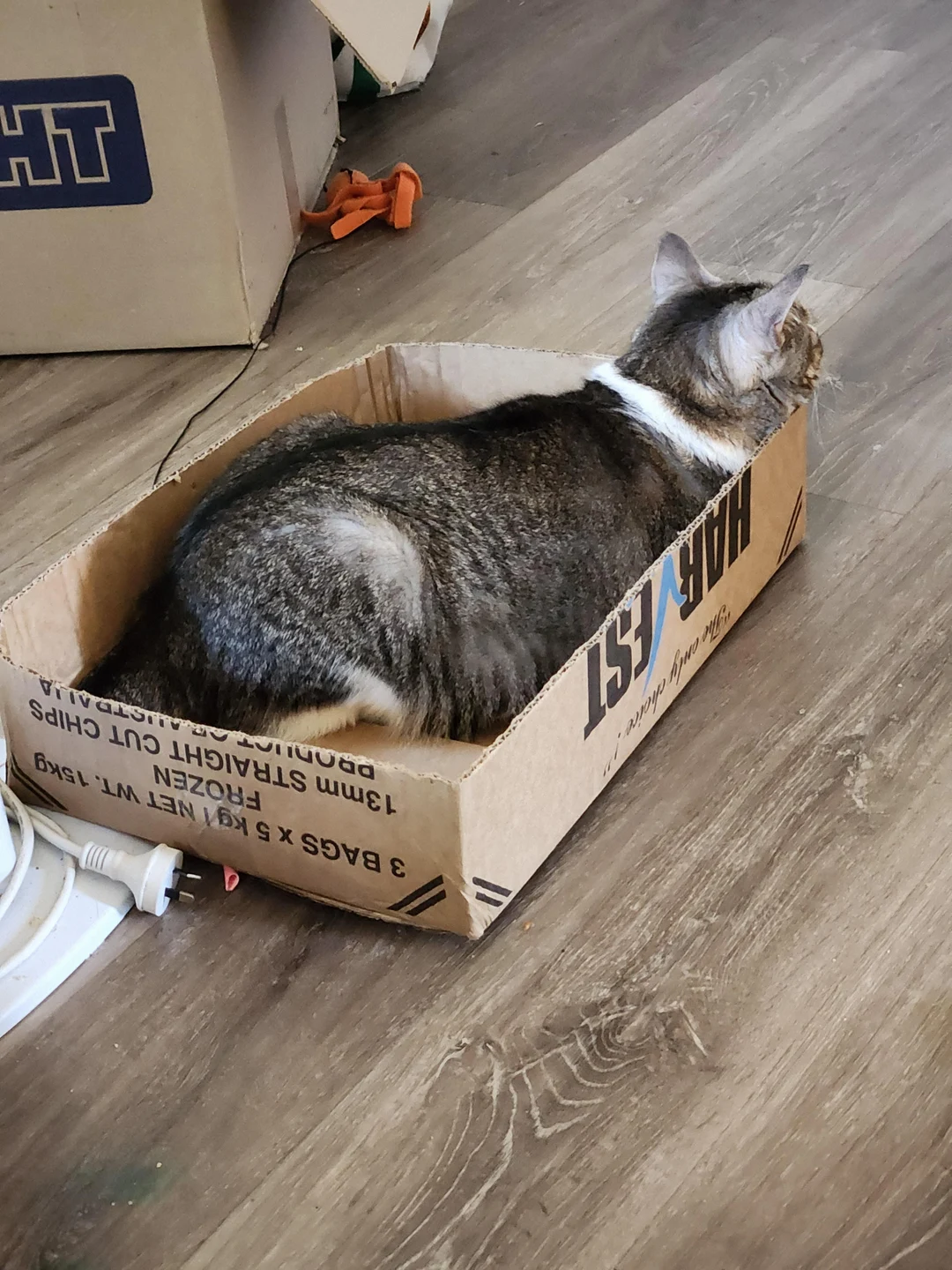 This box trap is very effective | Scrolller