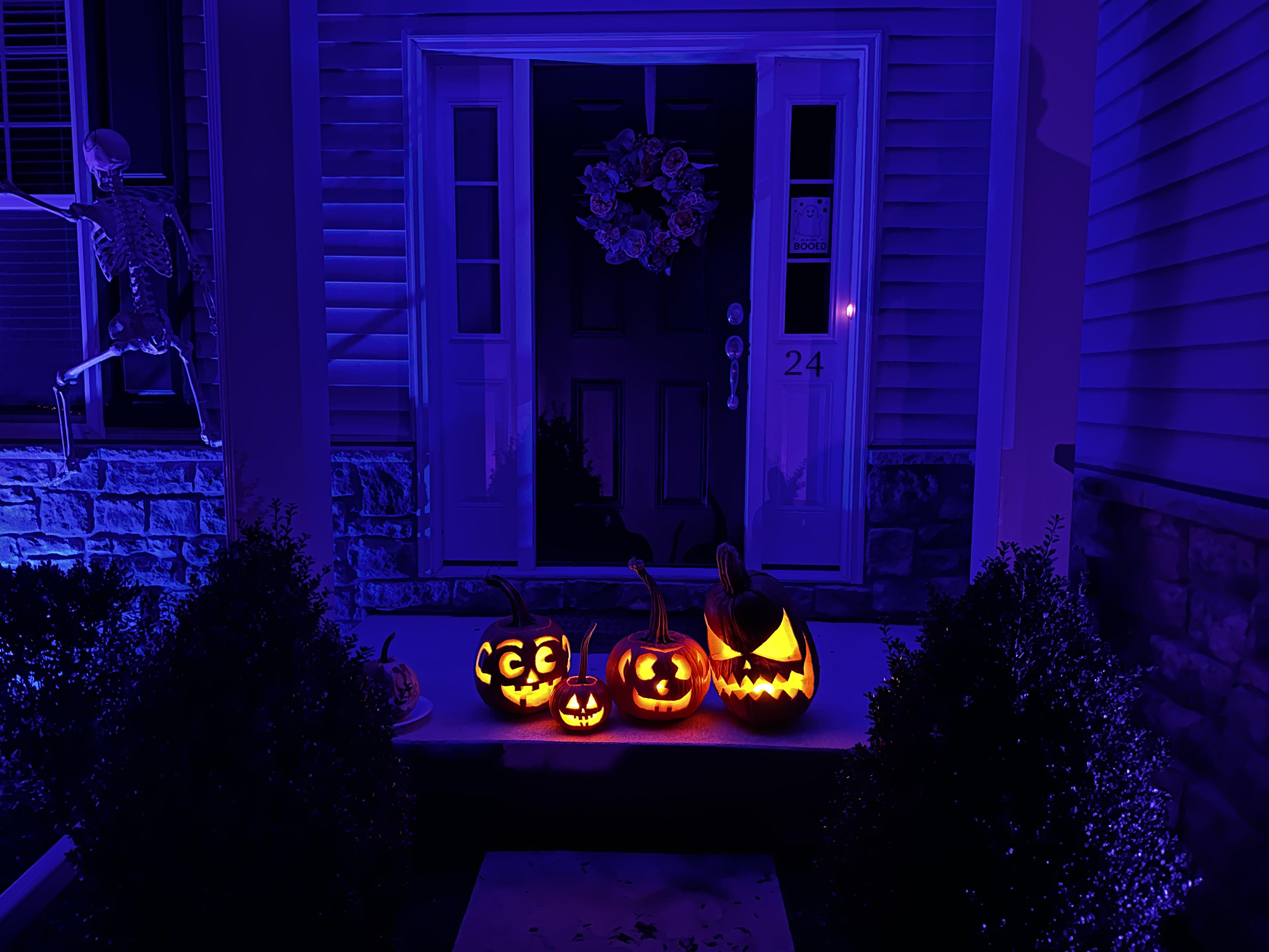 We carved Jack O’ Lanterns 🎃 | Scrolller