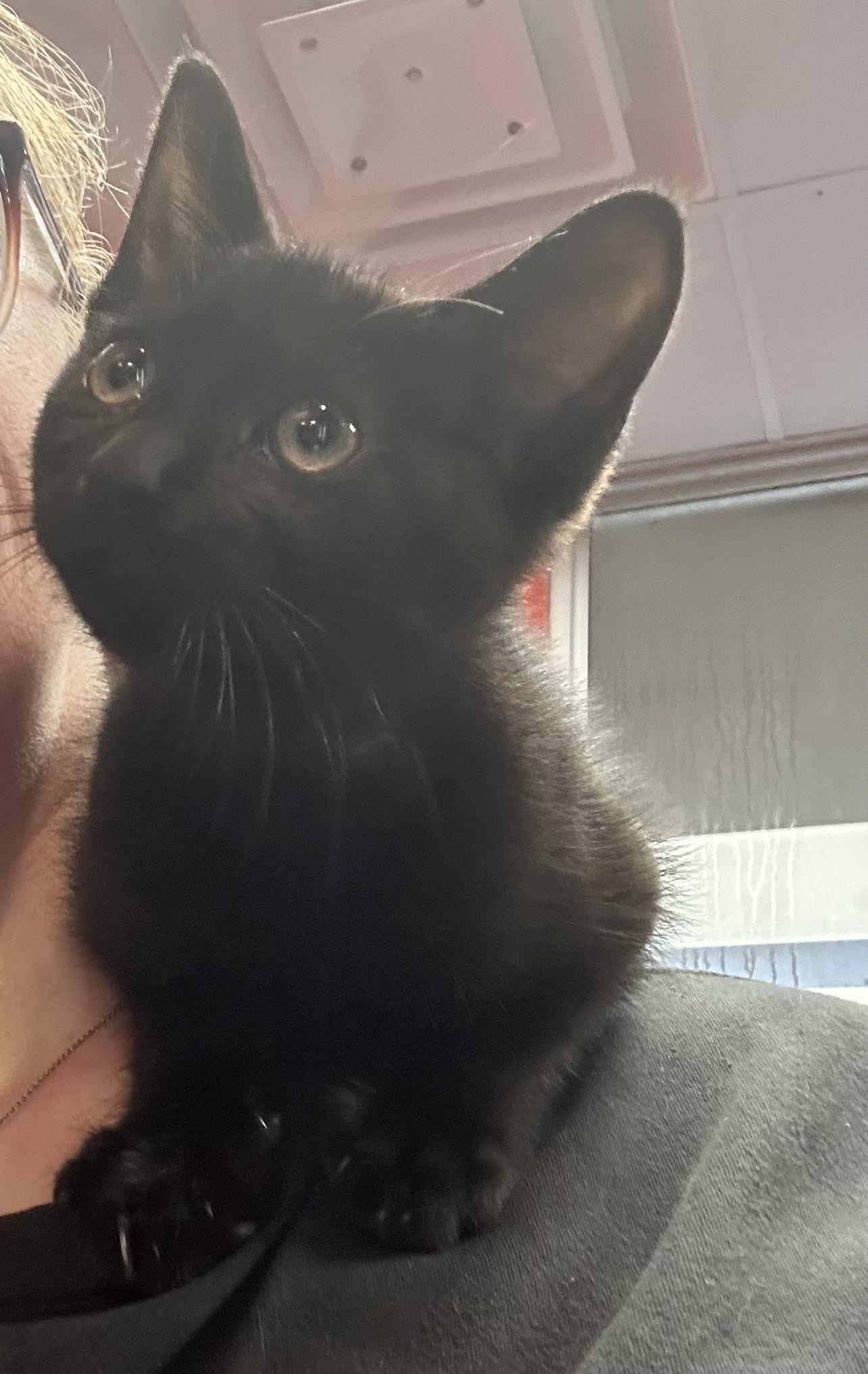 My sweet new void boy Smudge | Scrolller