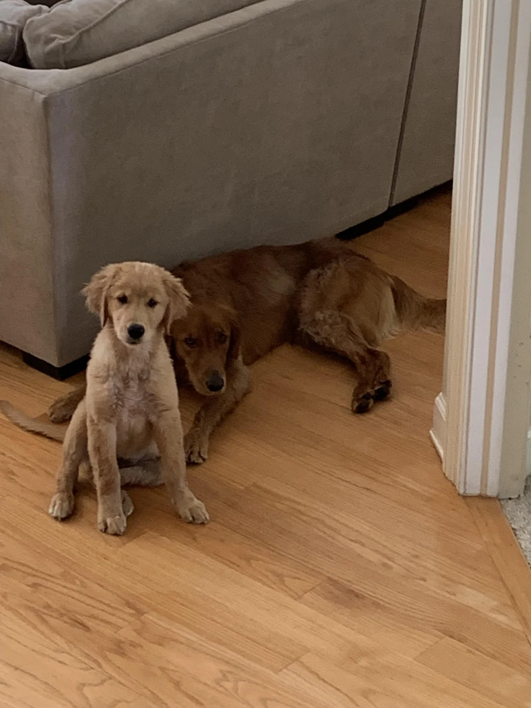 Standing guard | Scrolller