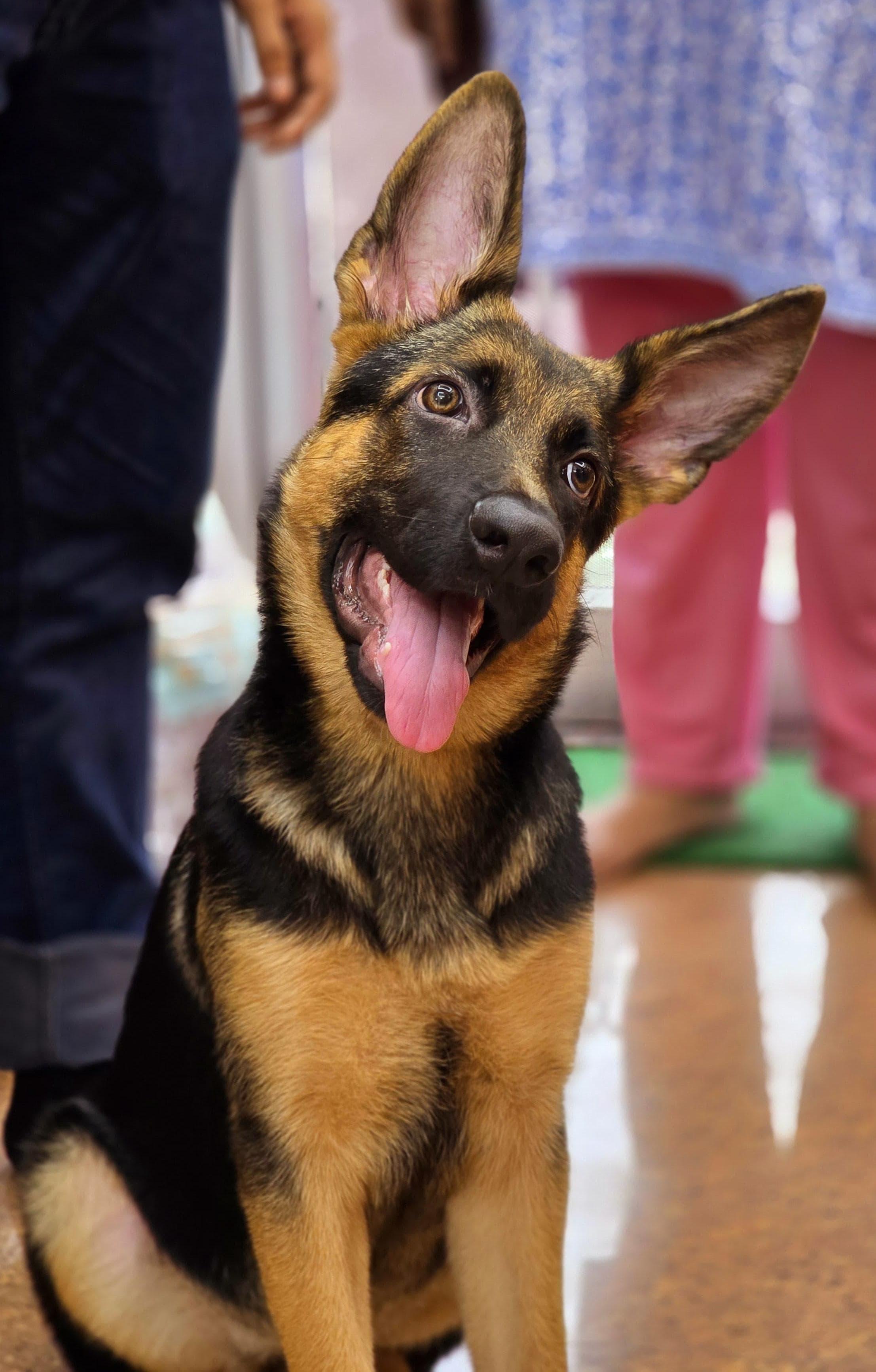 I just melted and Evaporated 🧿 | Scrolller