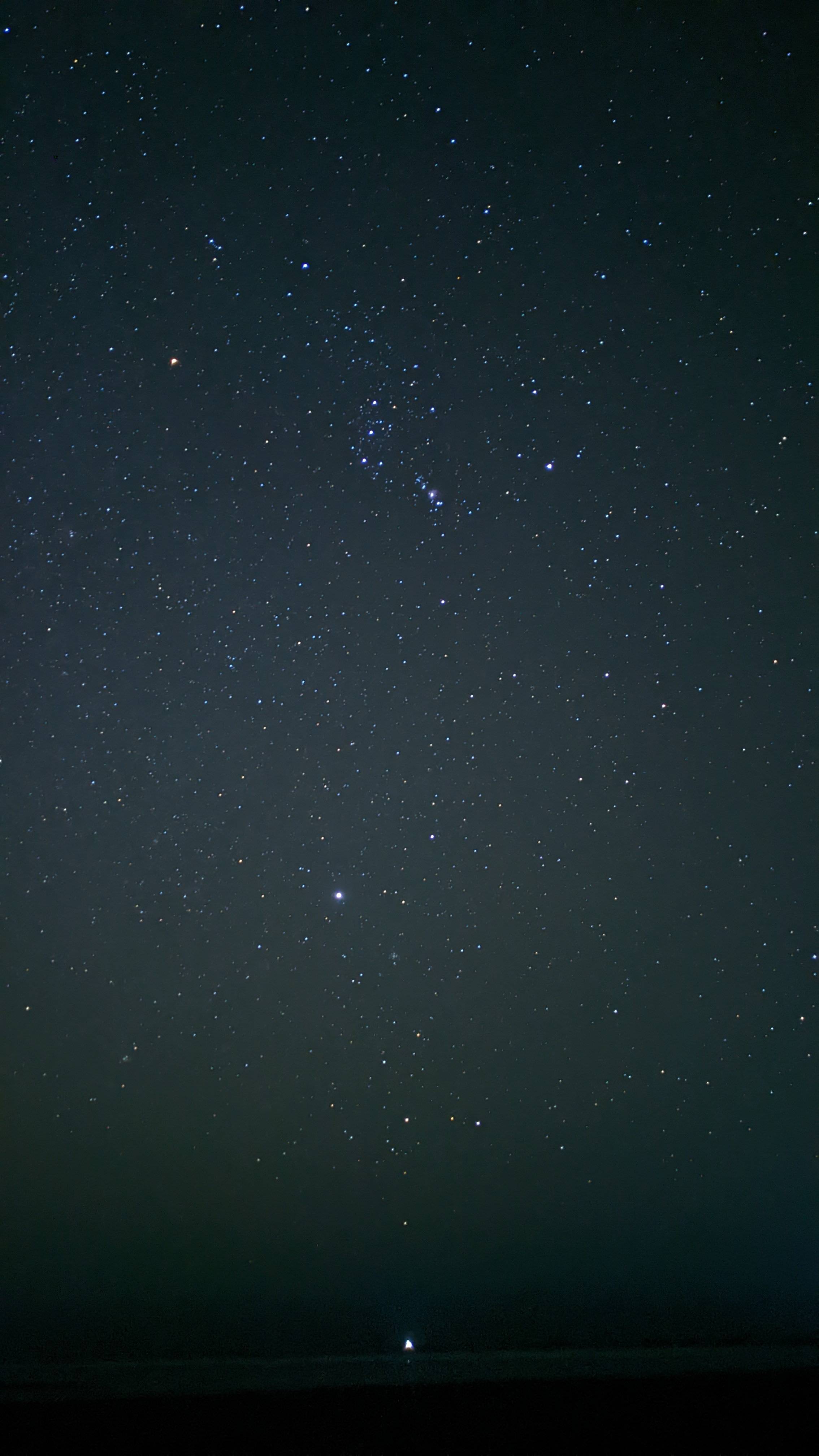 Shrimping under the stars | Scrolller