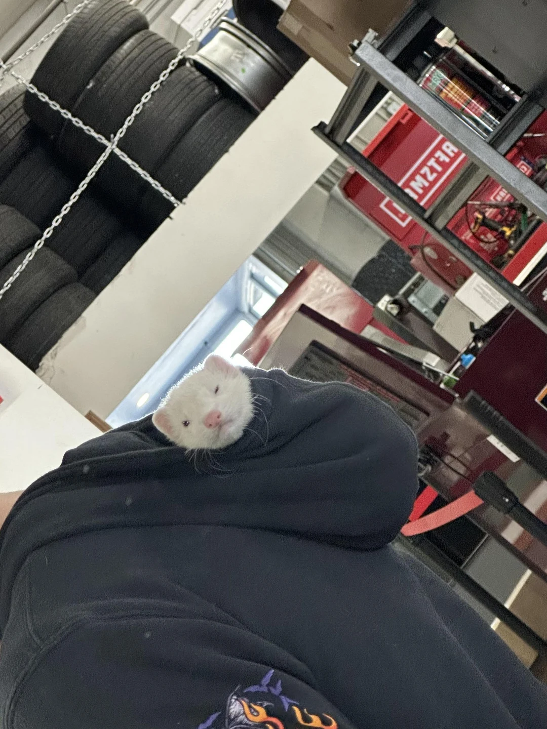 Walter White | Scrolller